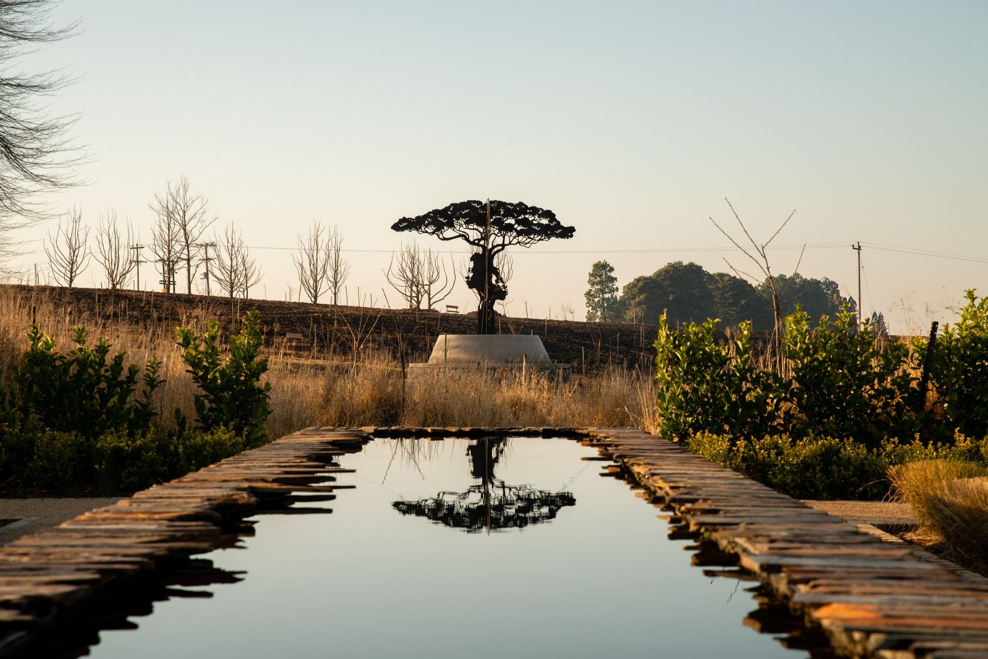 Brahman Hills Experience: A truly magic time had by all