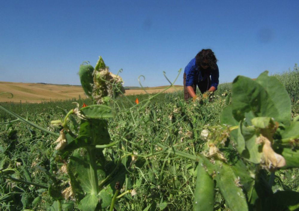 State intervenes in land claims fight