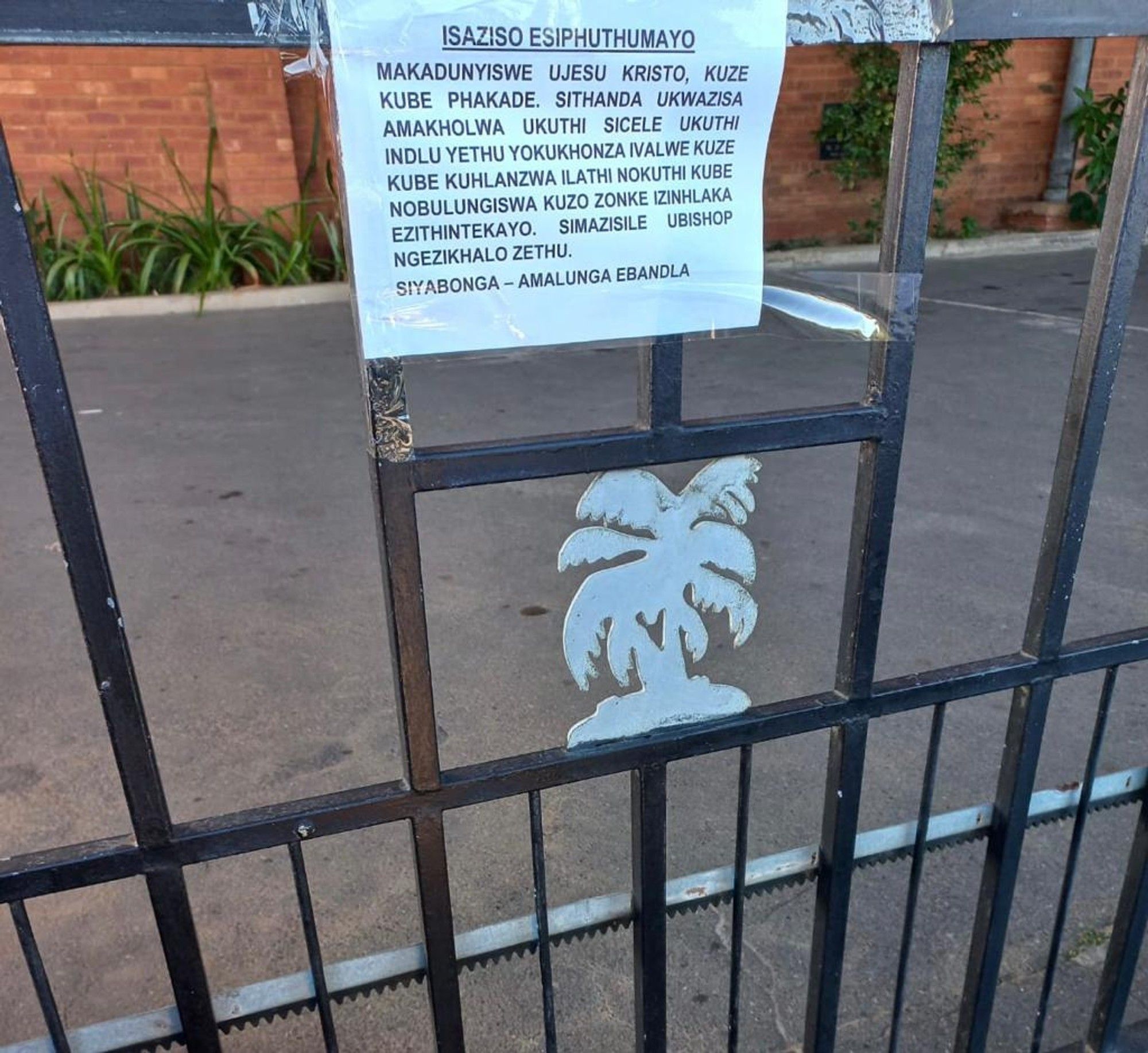 Basontele emgwaqweni kulenga ingidi esontweni