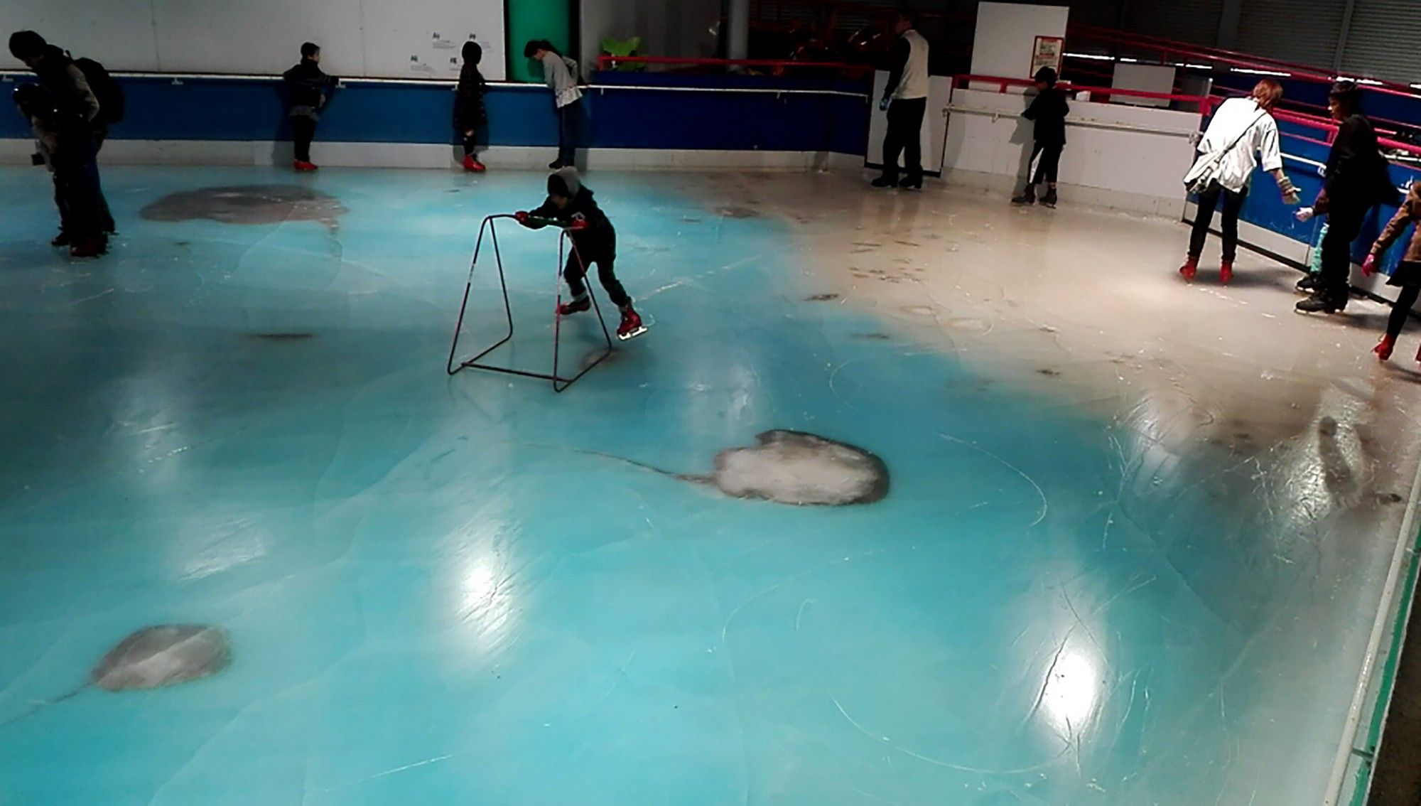 Ice rink melts in storm over frozen fish