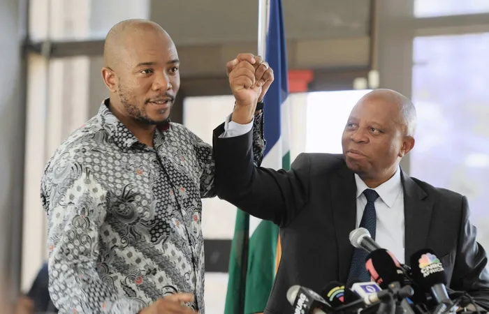 Unlike DA, race matters for Mmusi Maimane and Herman Mashaba