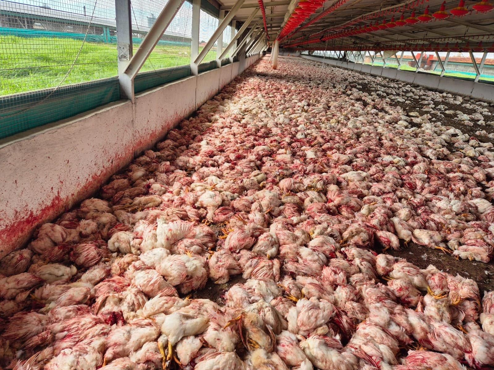 Daybreak Foods seeks PIC approval for business rescue as financial ...