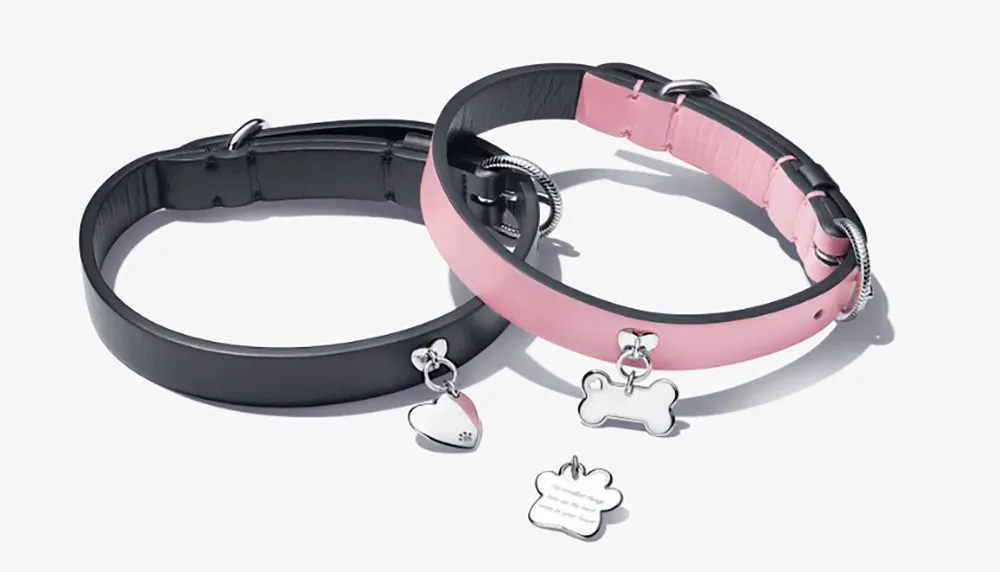 Pandora launches pet range so you can now fashionably co-ordinate with ...
