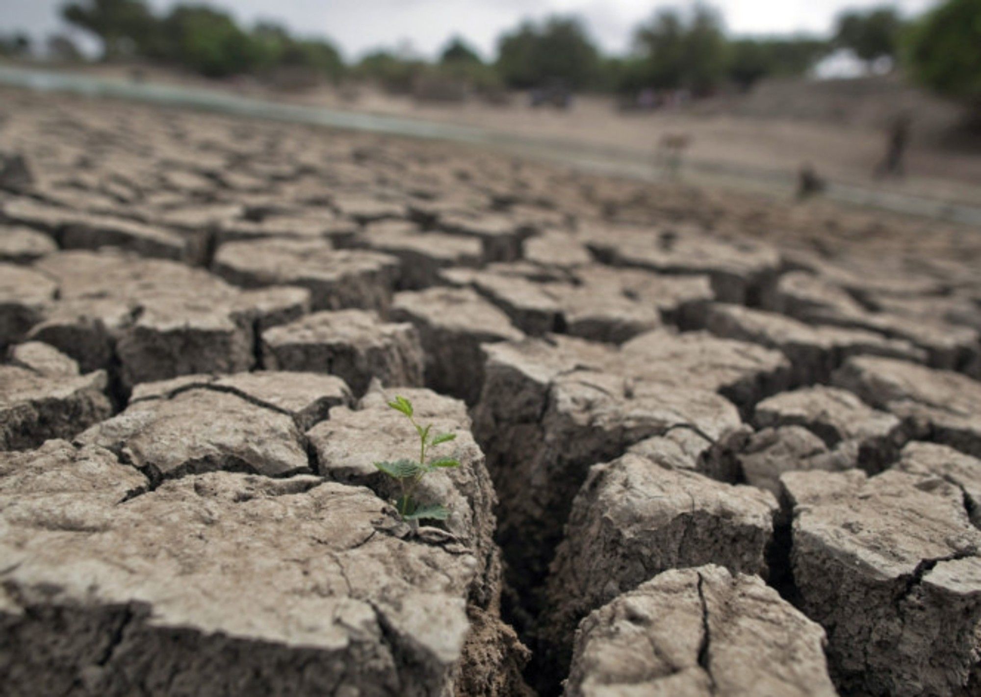 ‘Worst drought in more than 80 years’