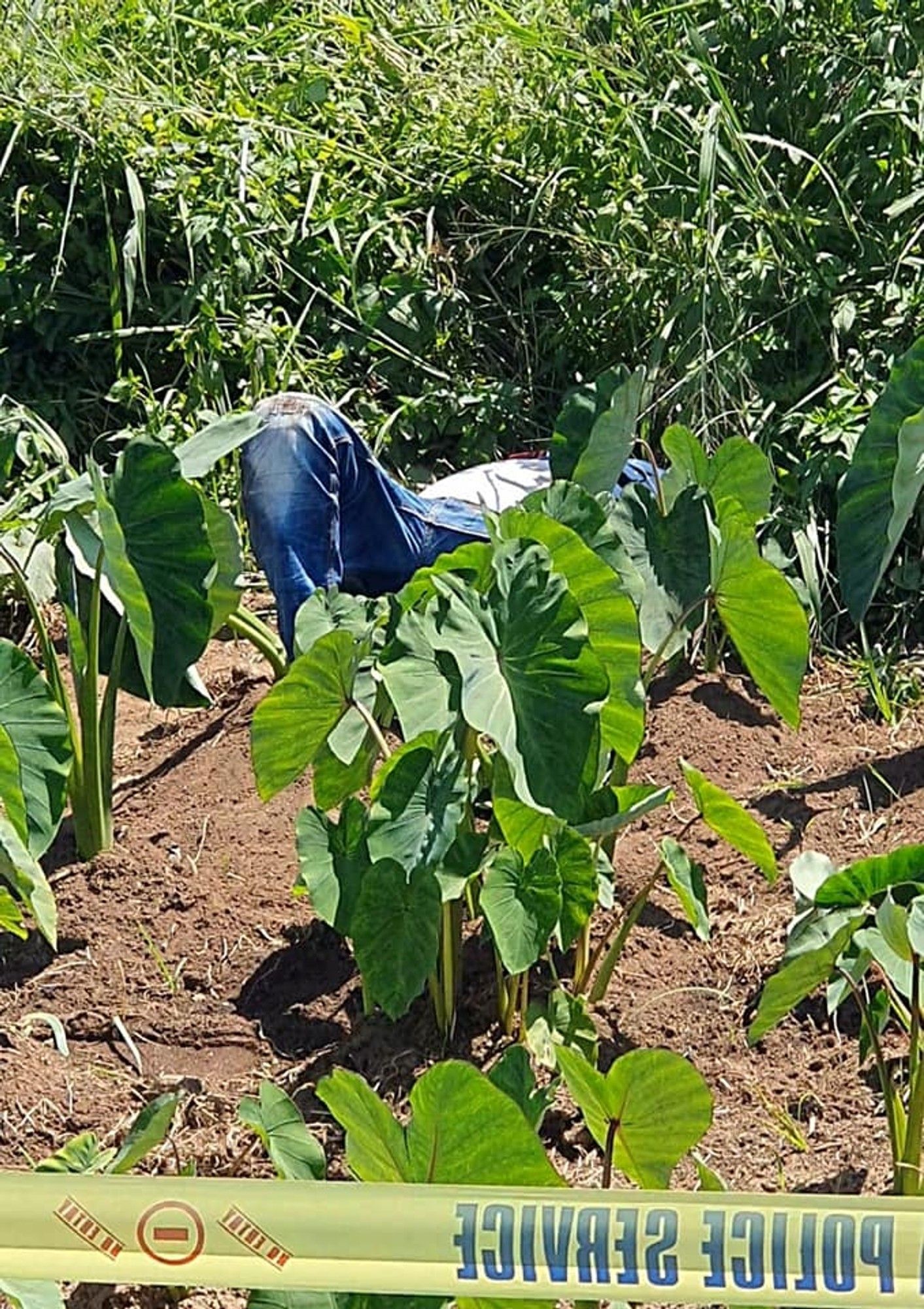 Toti post office armed robber handed a 20-year prison sentence