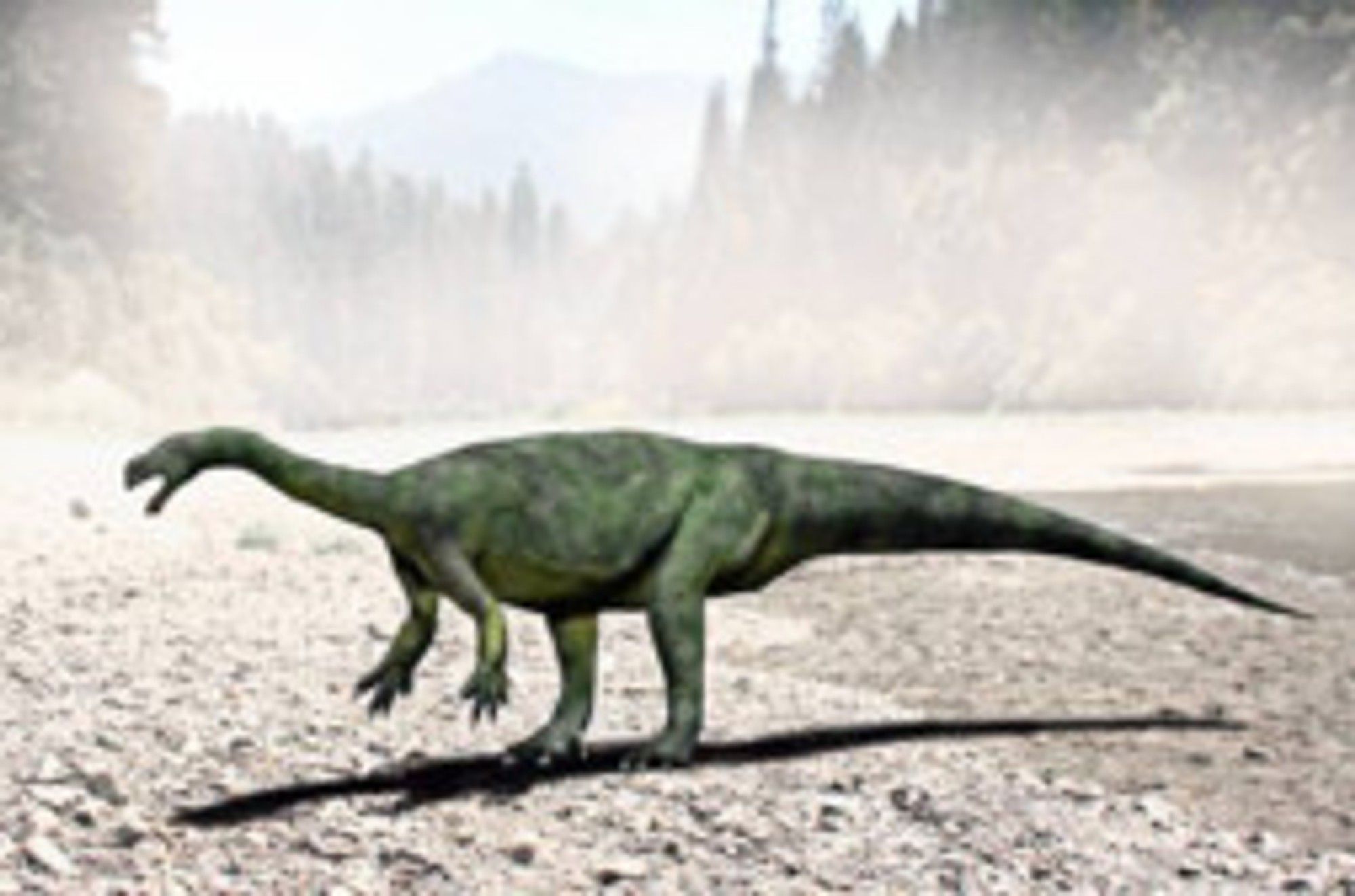 New dinosaur species discovered at Wits