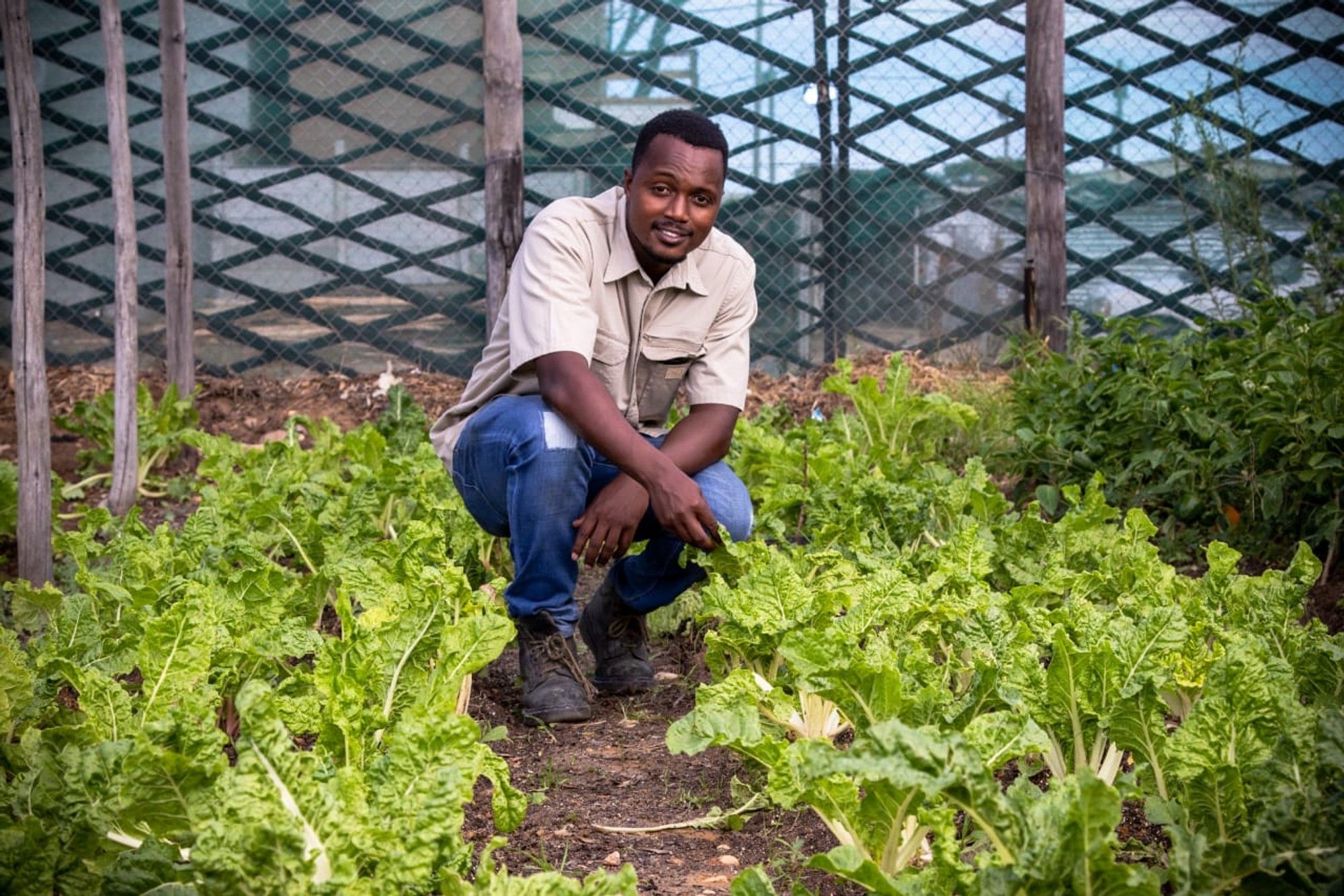 Kind graduate provides fresh produce for free to struggling Strand ...
