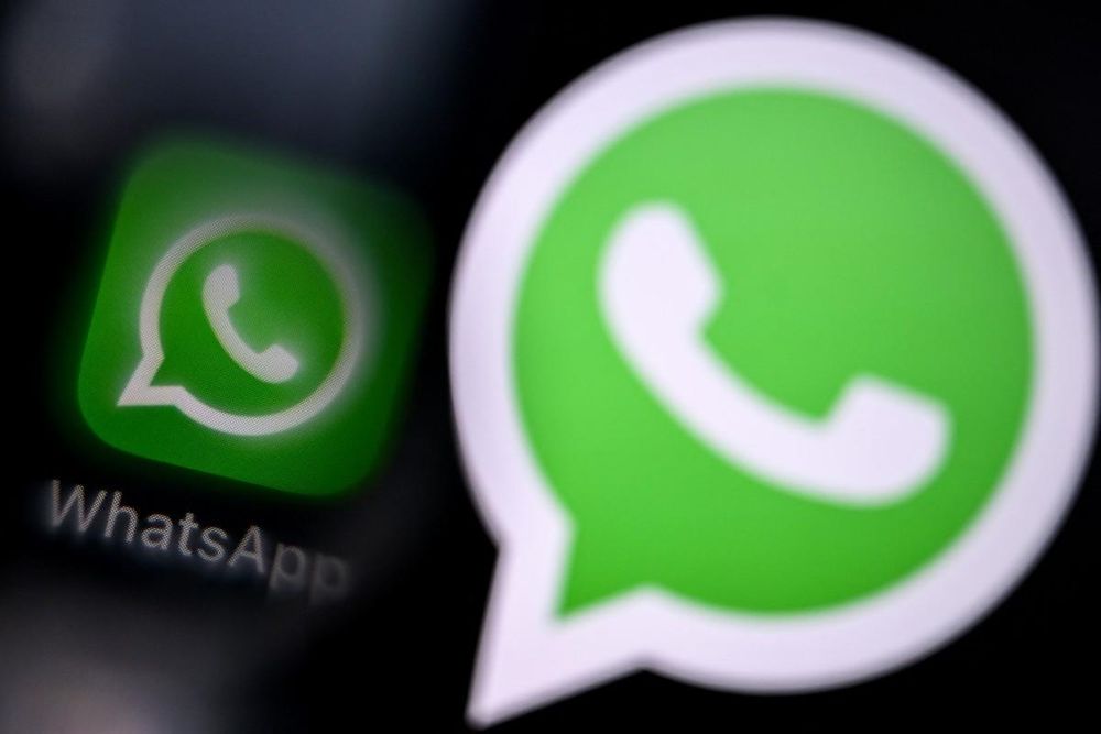 TEARS Animal Rescue introduces innovative WhatsApp vet shop for pet owners