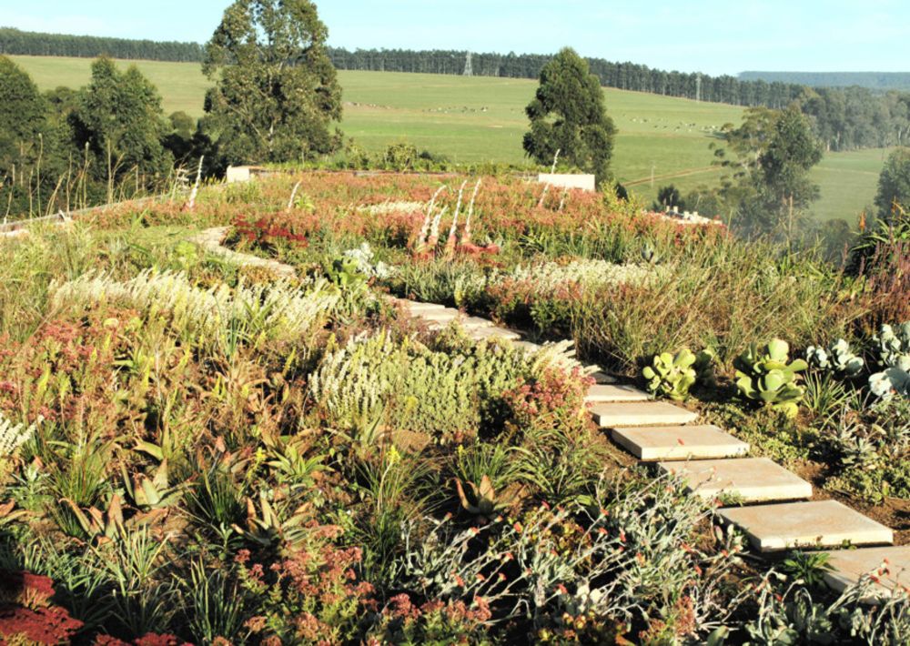 Raising the roof on gardening