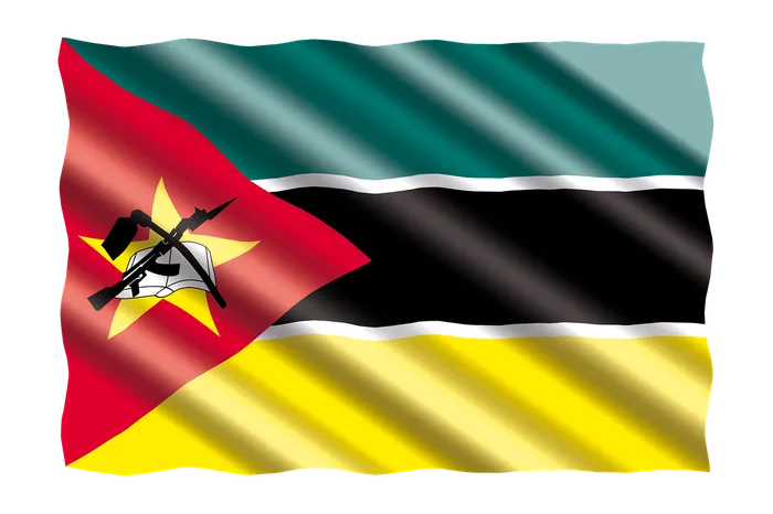 Mozambique says five citizens killed in South Africa 'xenophobic attacks'