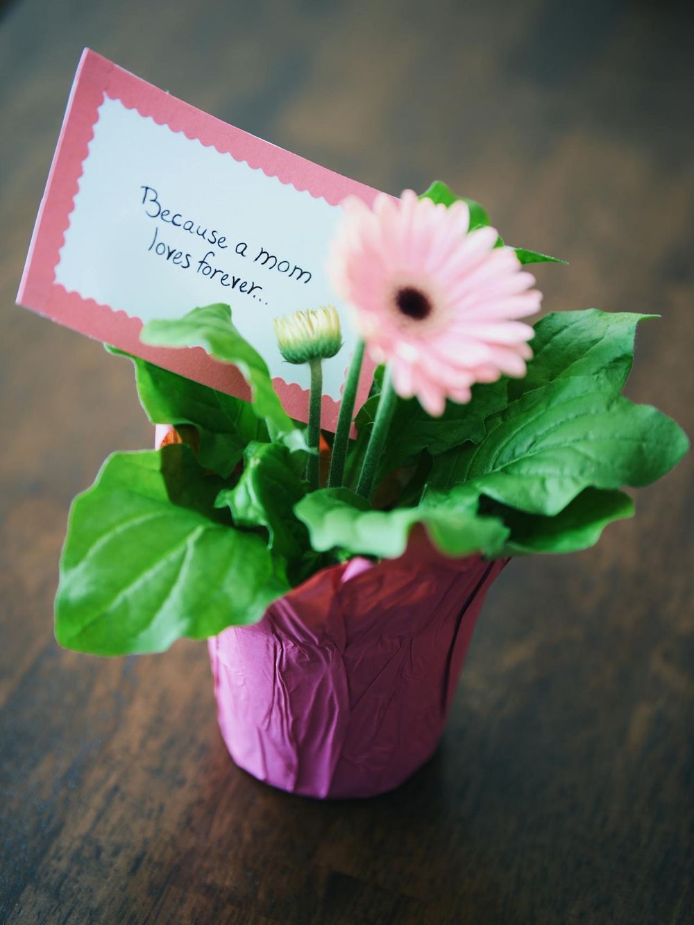 Meaningful gifts for Mother's Day: Embracing nature's beauty
