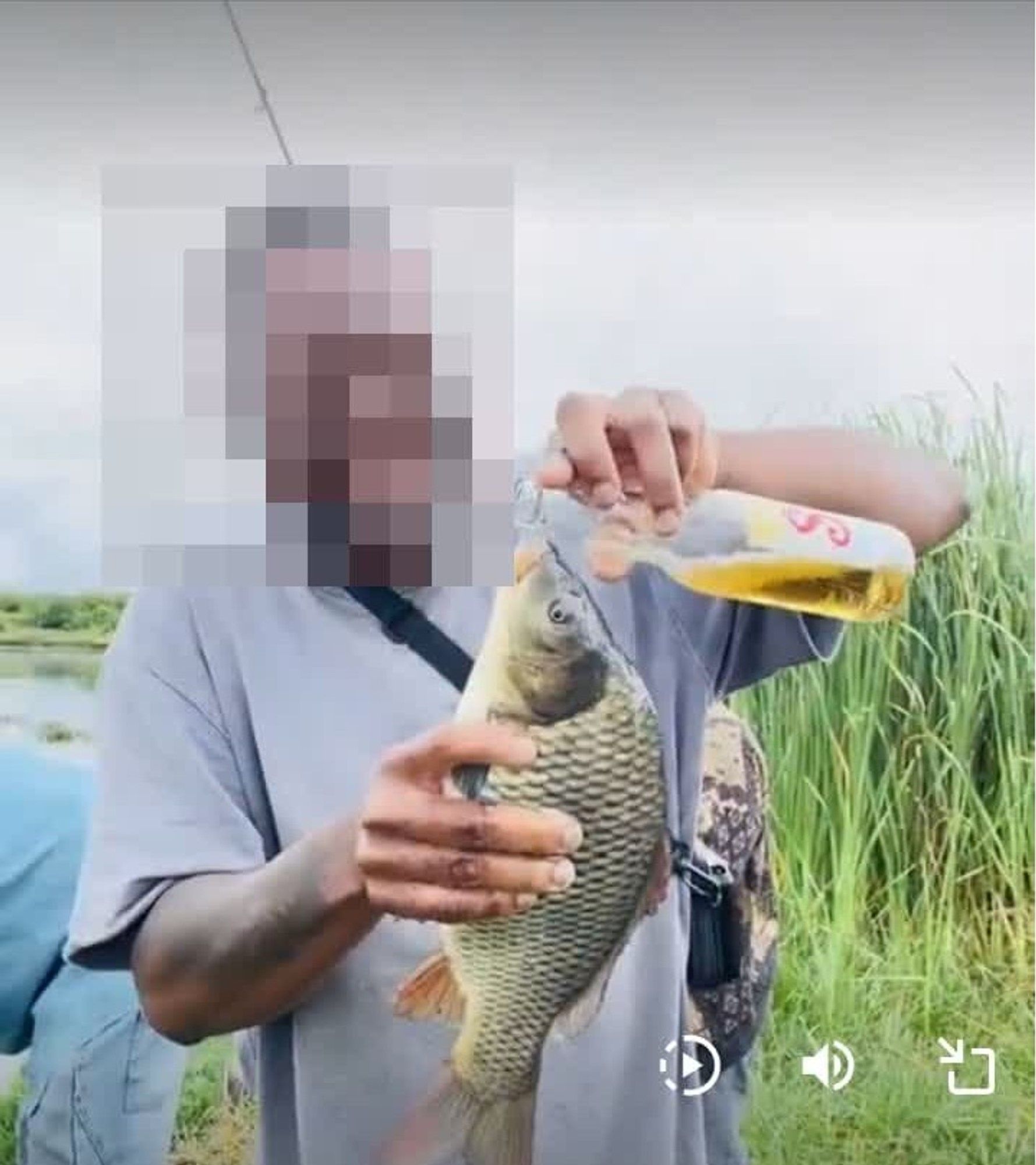 Outrage as NSPCA investigates shocking fish abuse by Johannesburg man