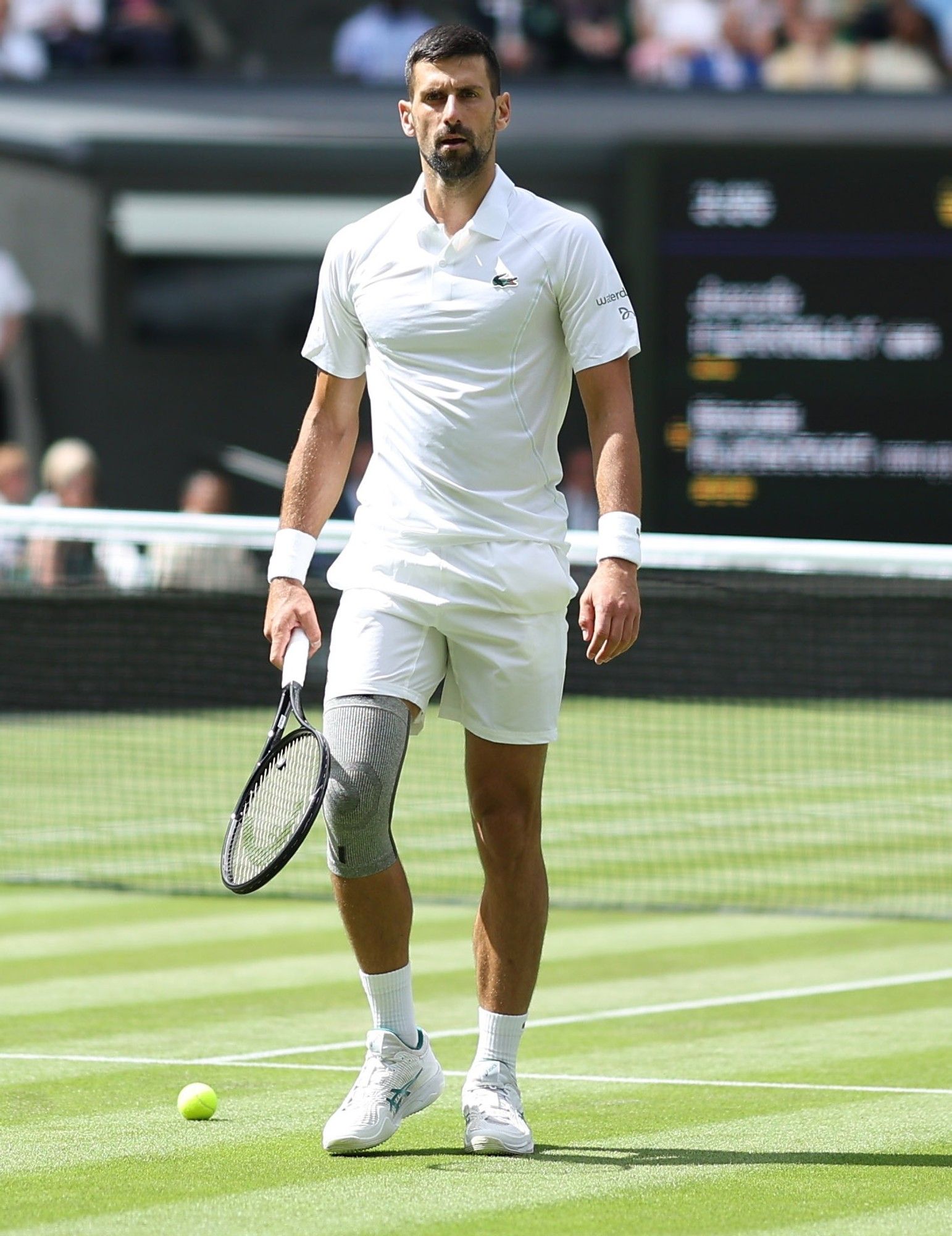 IT’S RUDE, NOT RUNE: Djokovic hits out at ‘Ruuune’ boo-boys in ...