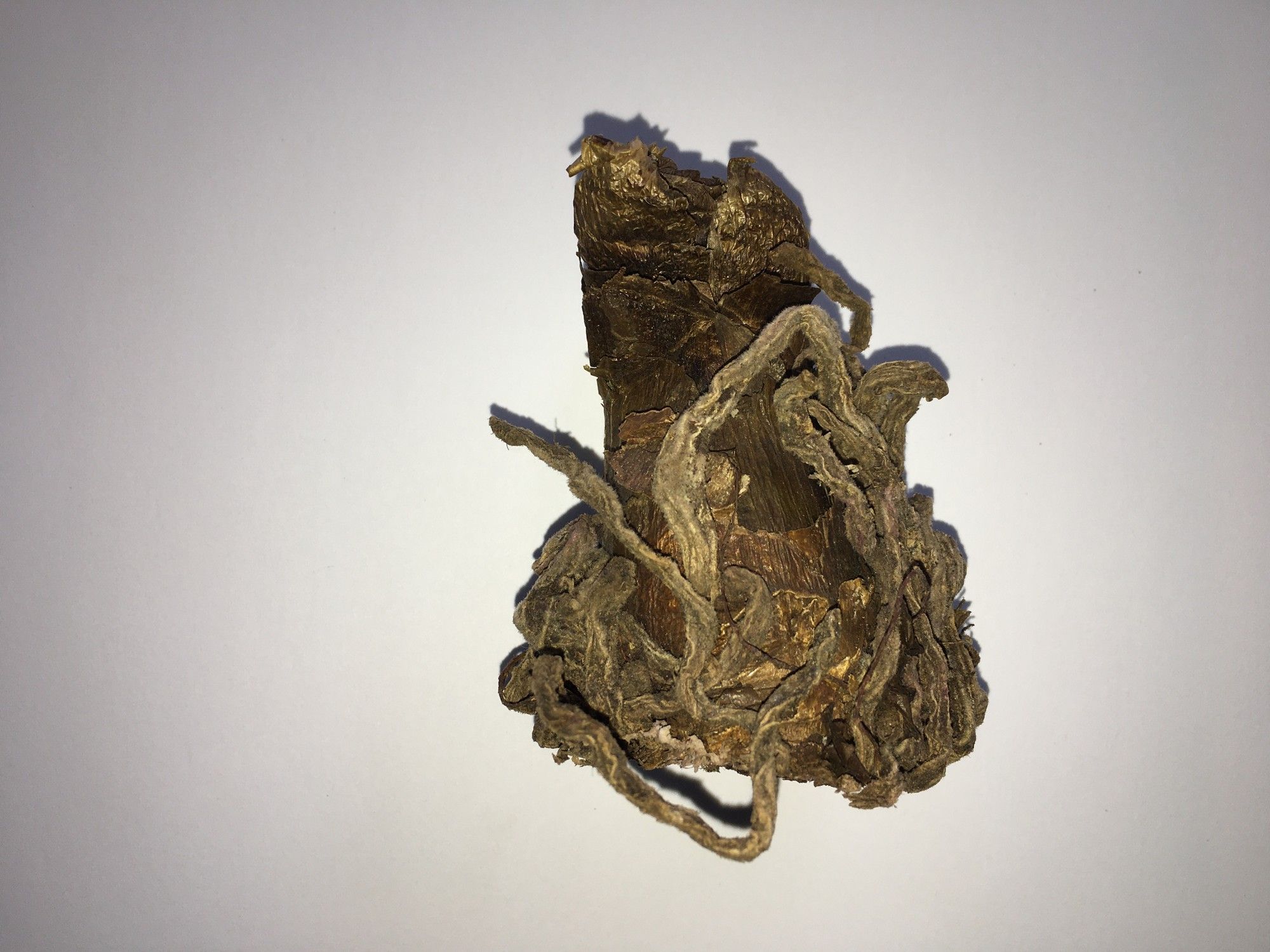 Uphando lweWSU ngokhuseleko lwamayeza esintu kwabakhulelweyo