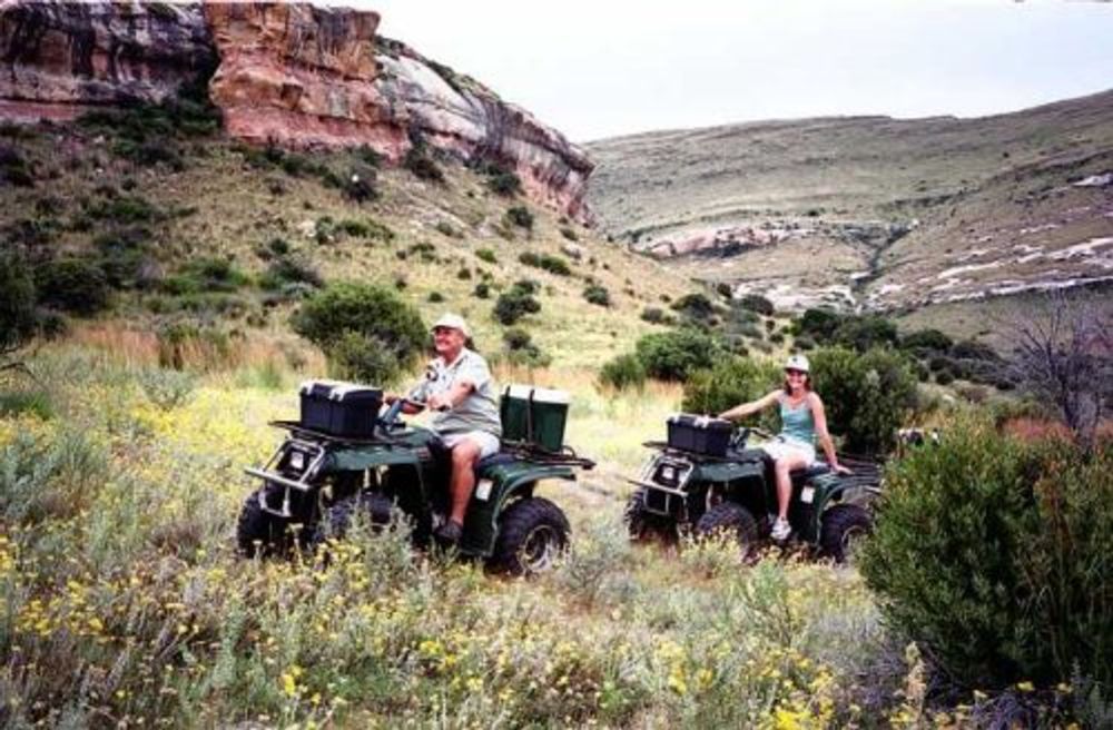 A treasure wrapped in gold