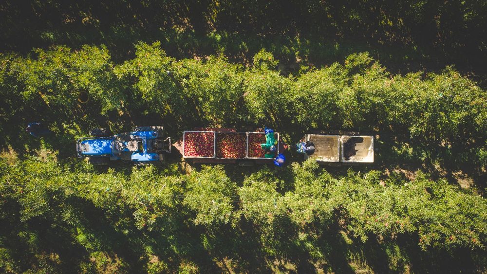 Introducing a new cider from the Ceres Valley
