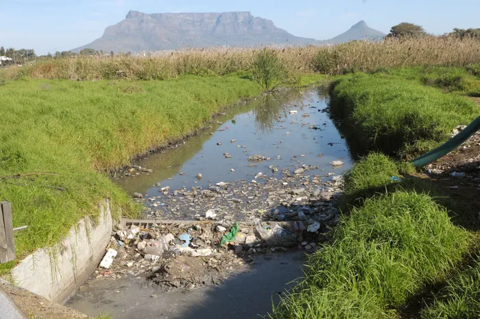 Mayor Geordin Hill-Lewis says restoring health of Milnerton Lagoon is ...