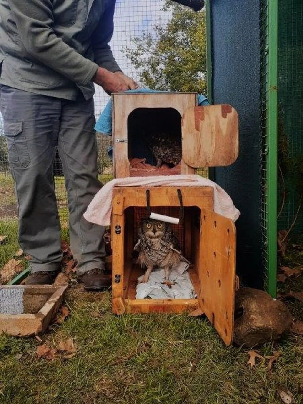 Two owls to be released into the wild in the KZN Midlands