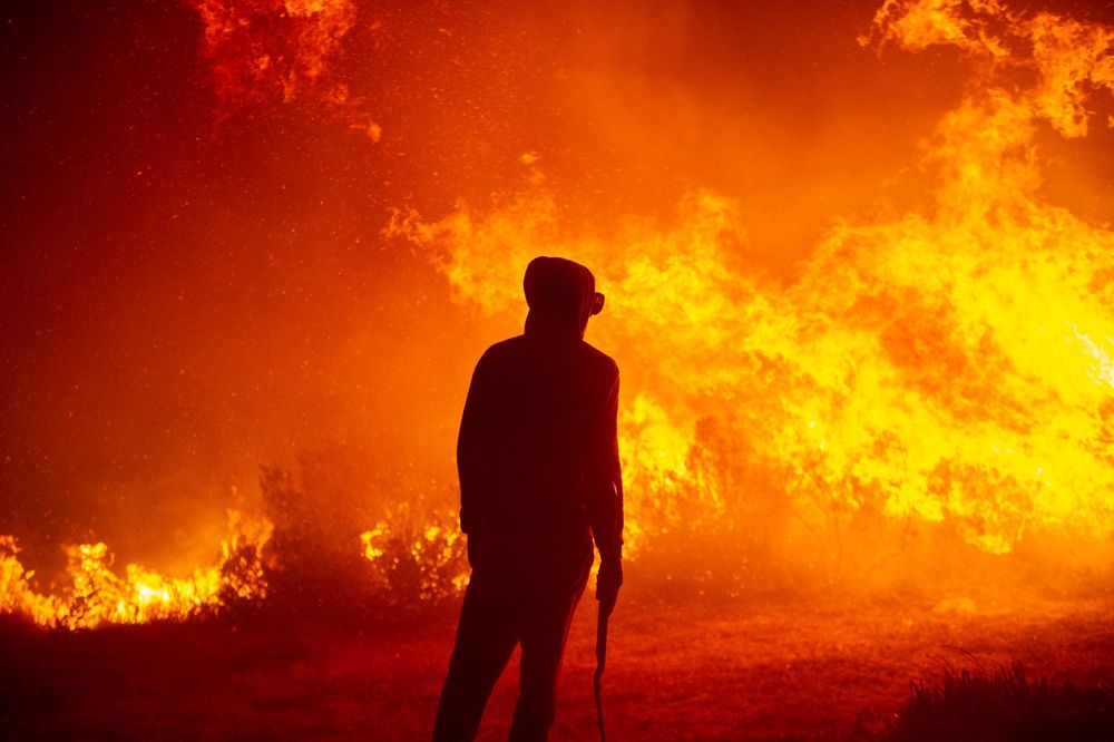Roscoe Palm: JP Smith, why have you incapacitated Cape Town's Fire and ...