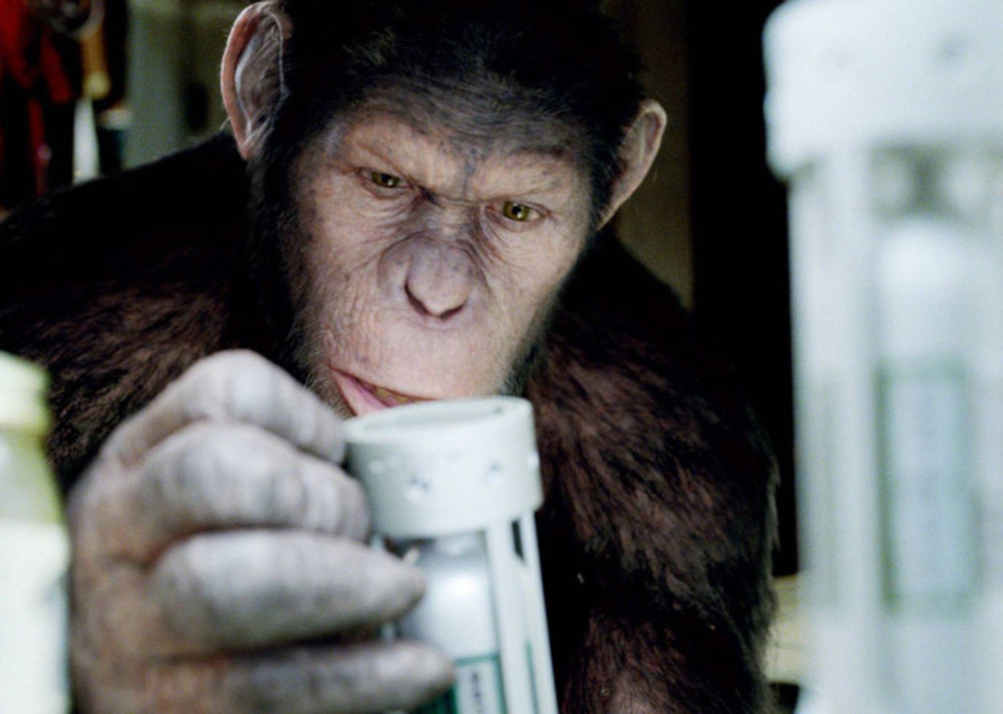 Rise of the planet of the apes?
