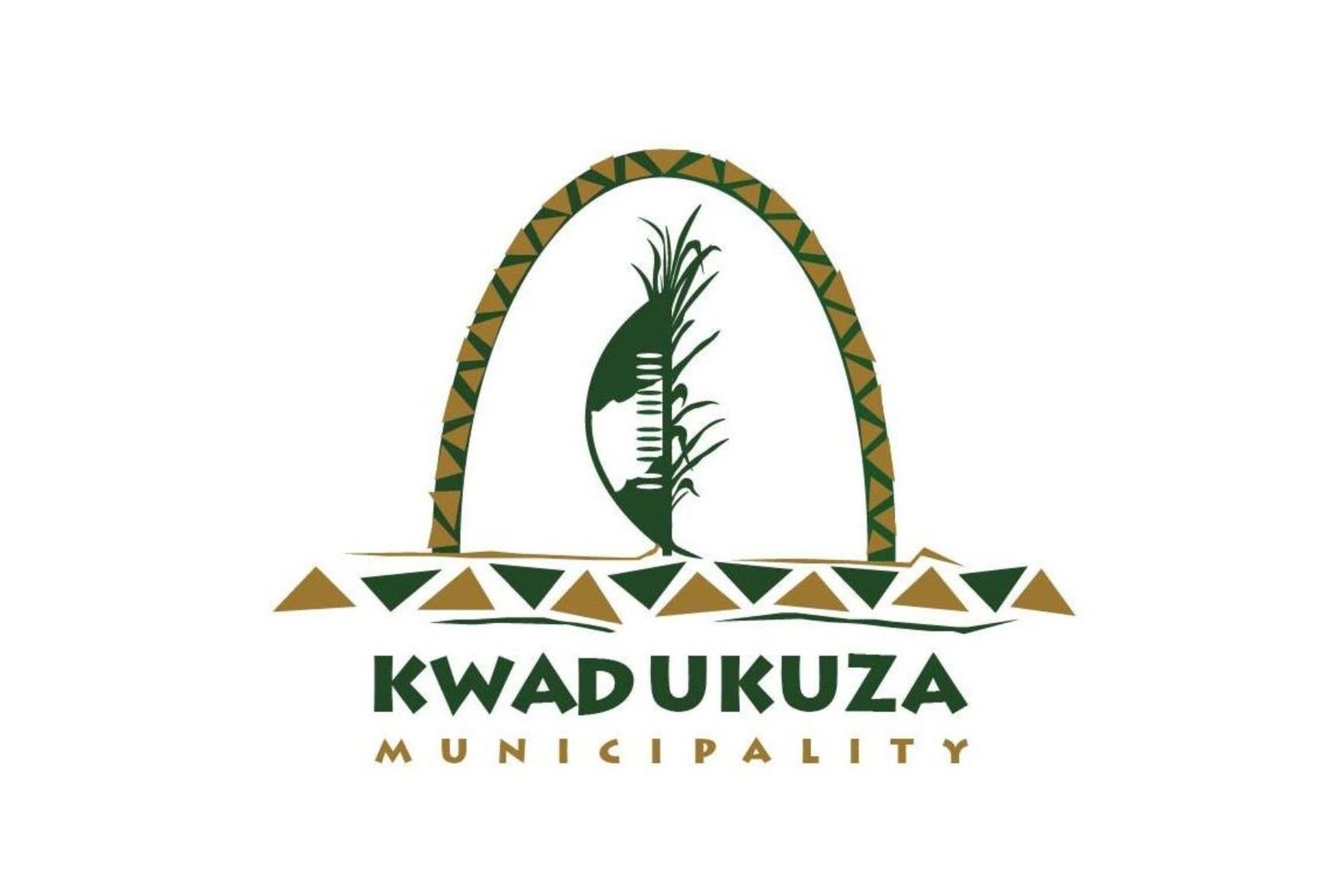 Security scandal puts Ali Ngidi' s position as KwaDukuza mayor at risk