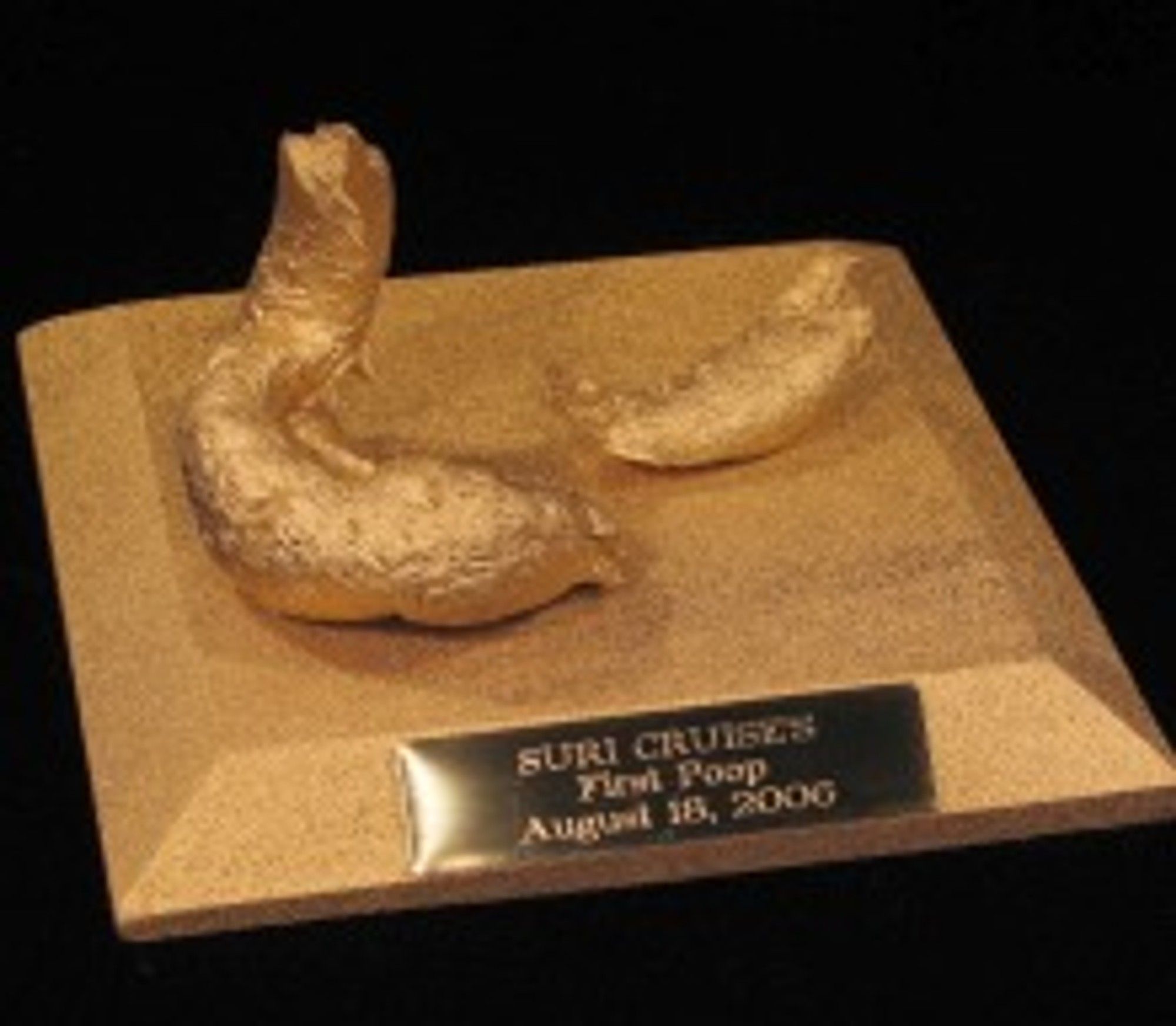 Suri's 'first poop' on display