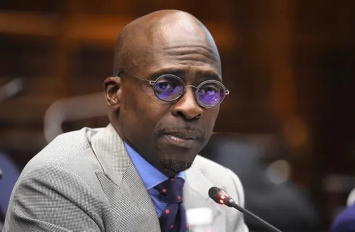 Call to review Unabridged Birth Certificates following Gigaba resignation