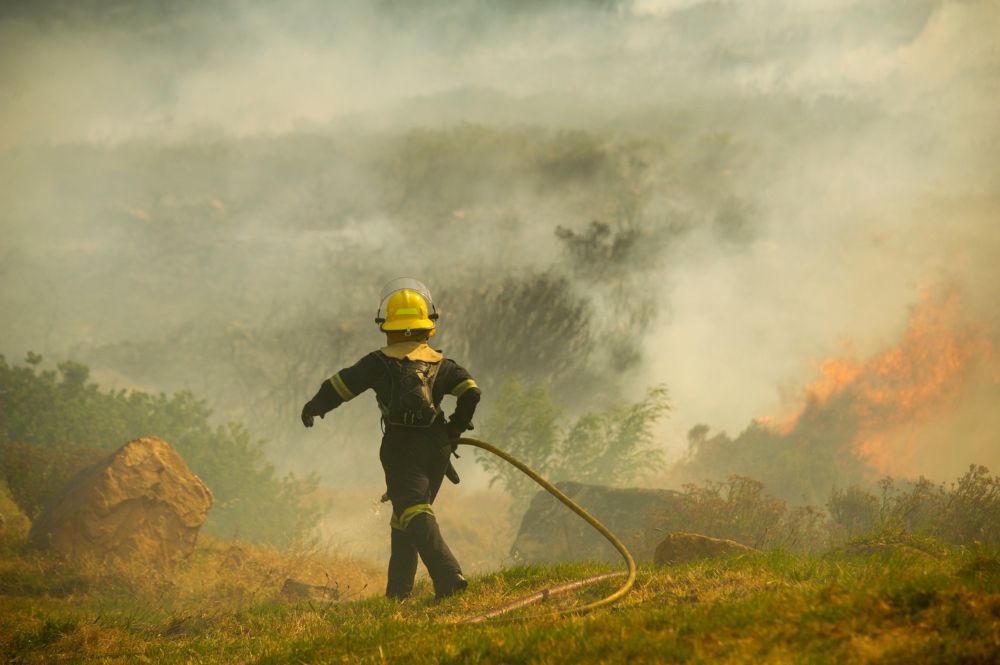 High Court ruling confirms legality of private firefighting services in ...