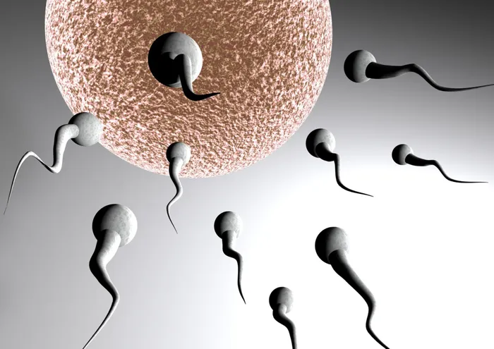Data lacking in home fertility tests - study