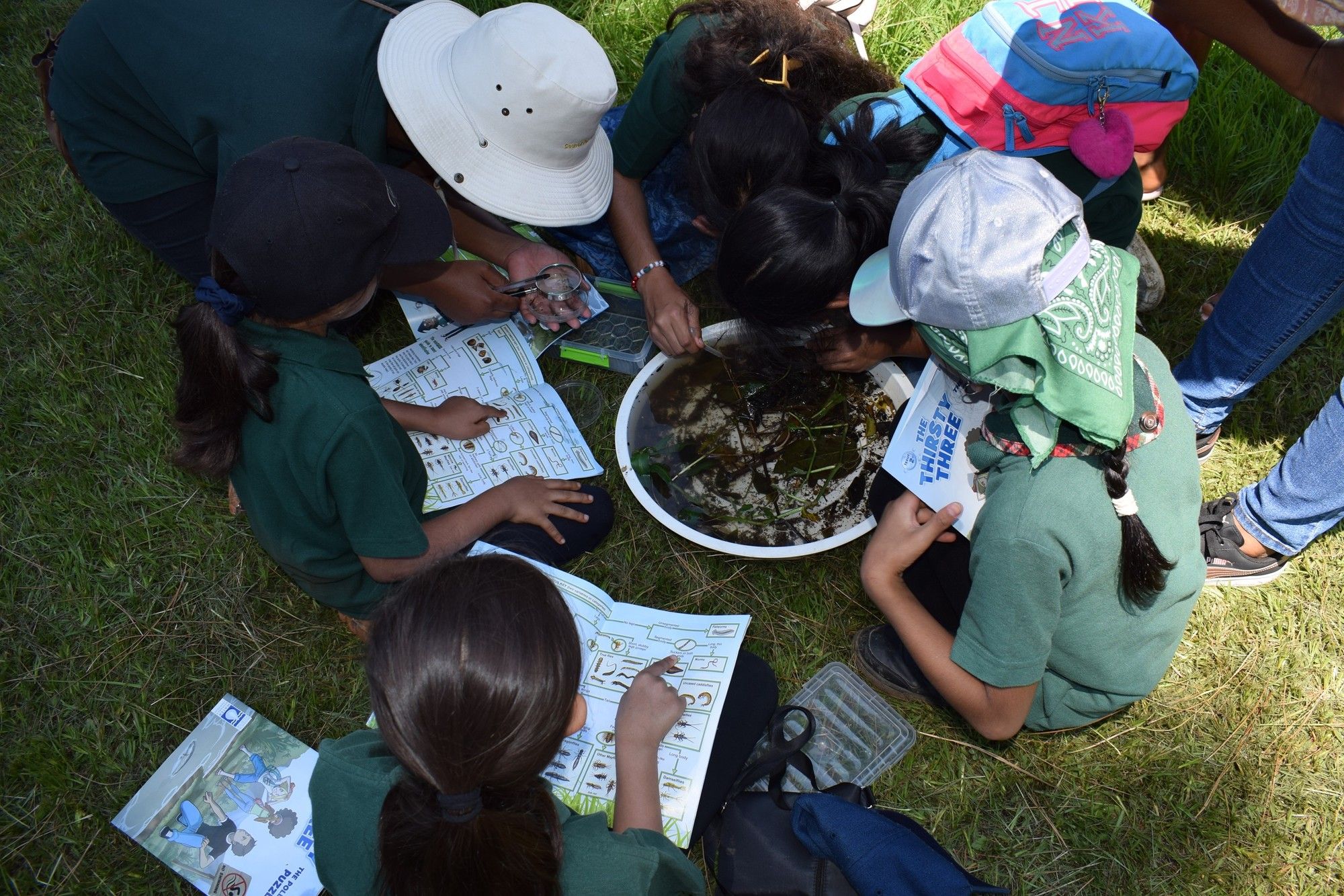 Vital wetlands lessons for Children
