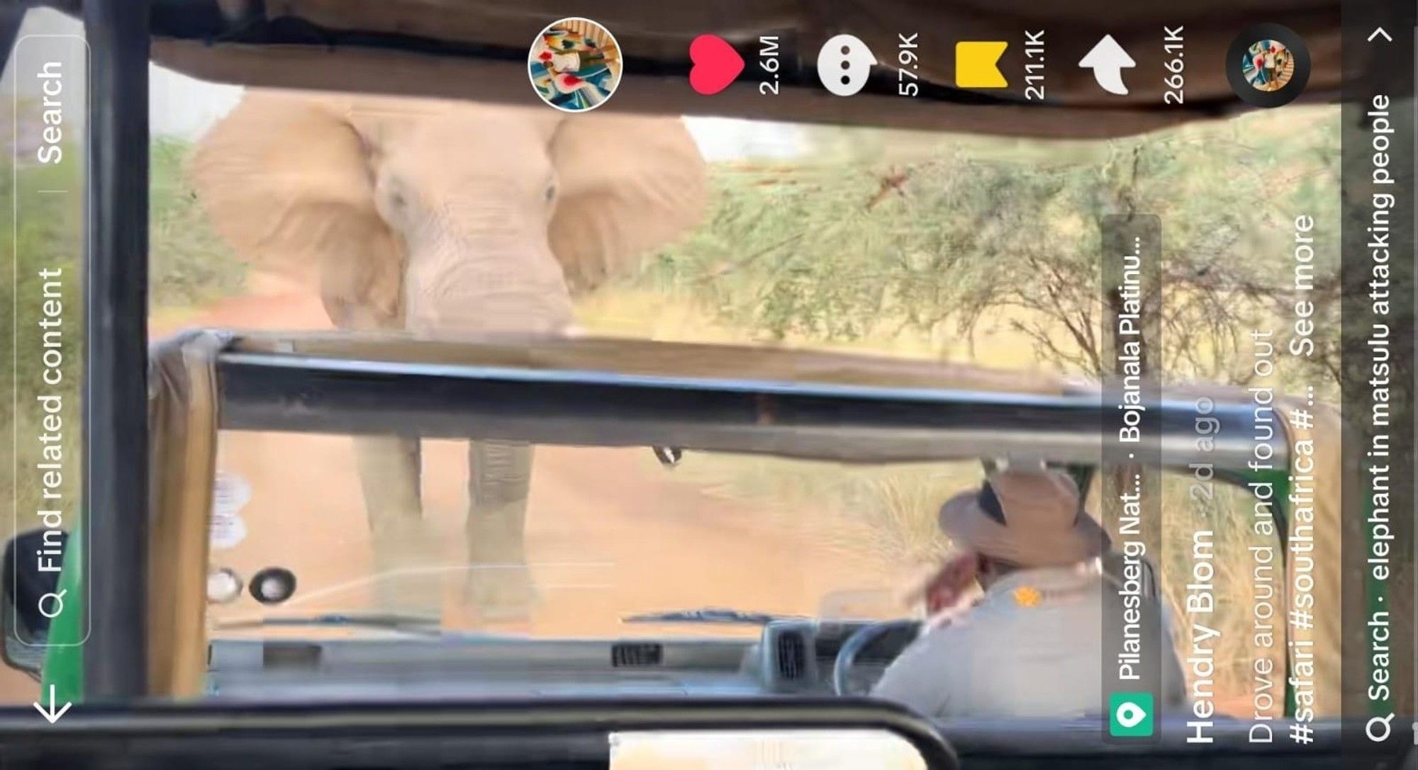 Safari-goers’ journey halted as ‘angry elephant’ blocks the road ...