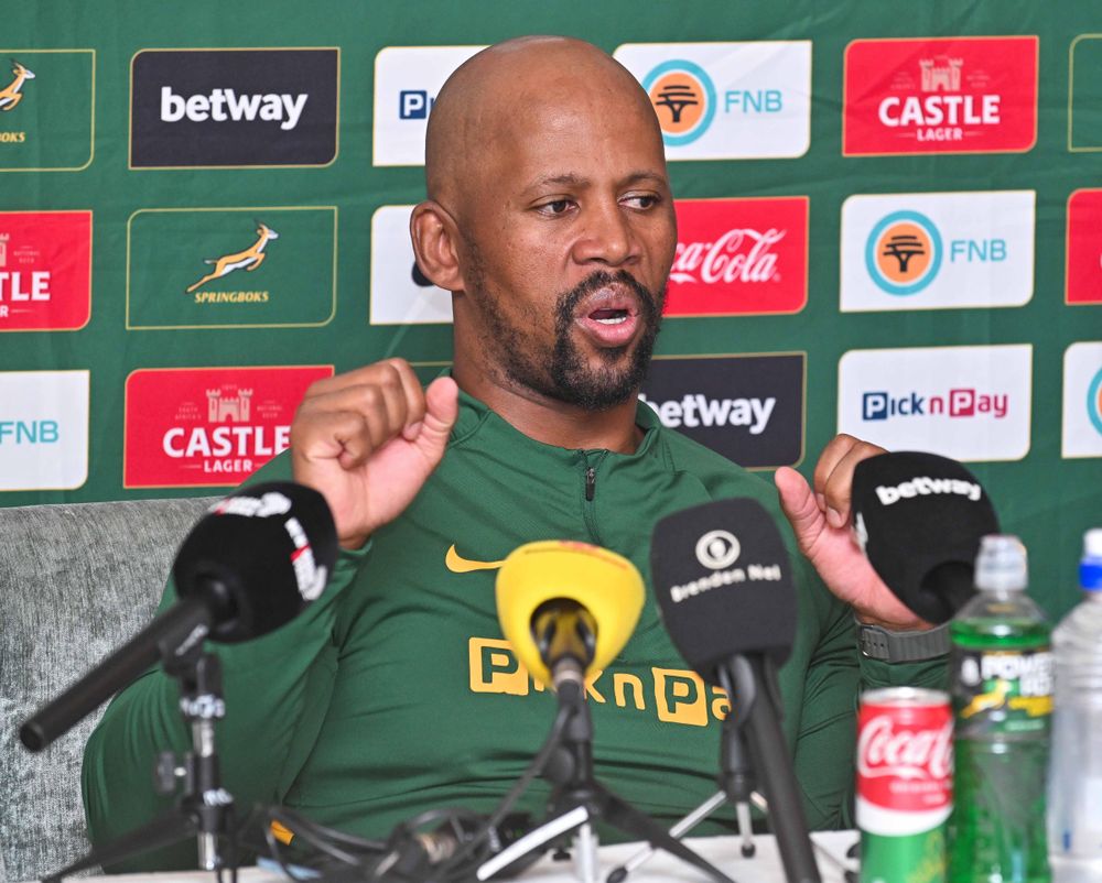 Stick confident depleted Springboks have the firepower to sink Wales in ...