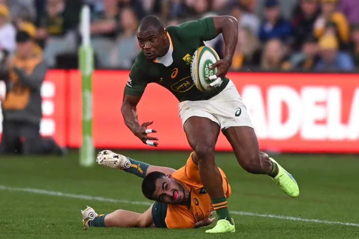 Return of the Mapimpi as Springboks rings changes for England clash