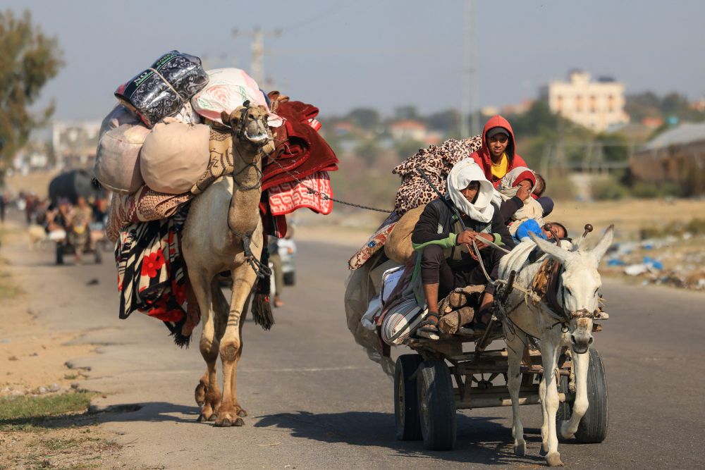Dead horses, scraps, leaves: Gaza's hungry get desperate