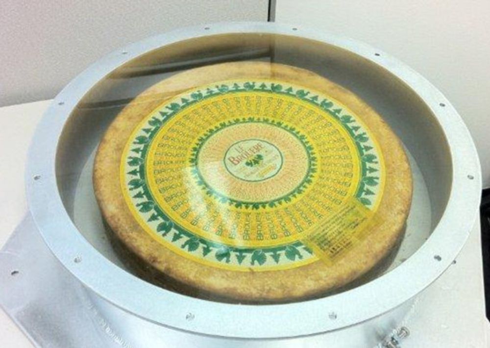 SpaceX rocket's payload: a wheel of cheese
