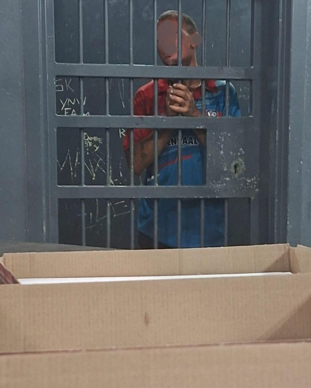 SPCA condemns brutal killing of kittens in Ruyterwacht