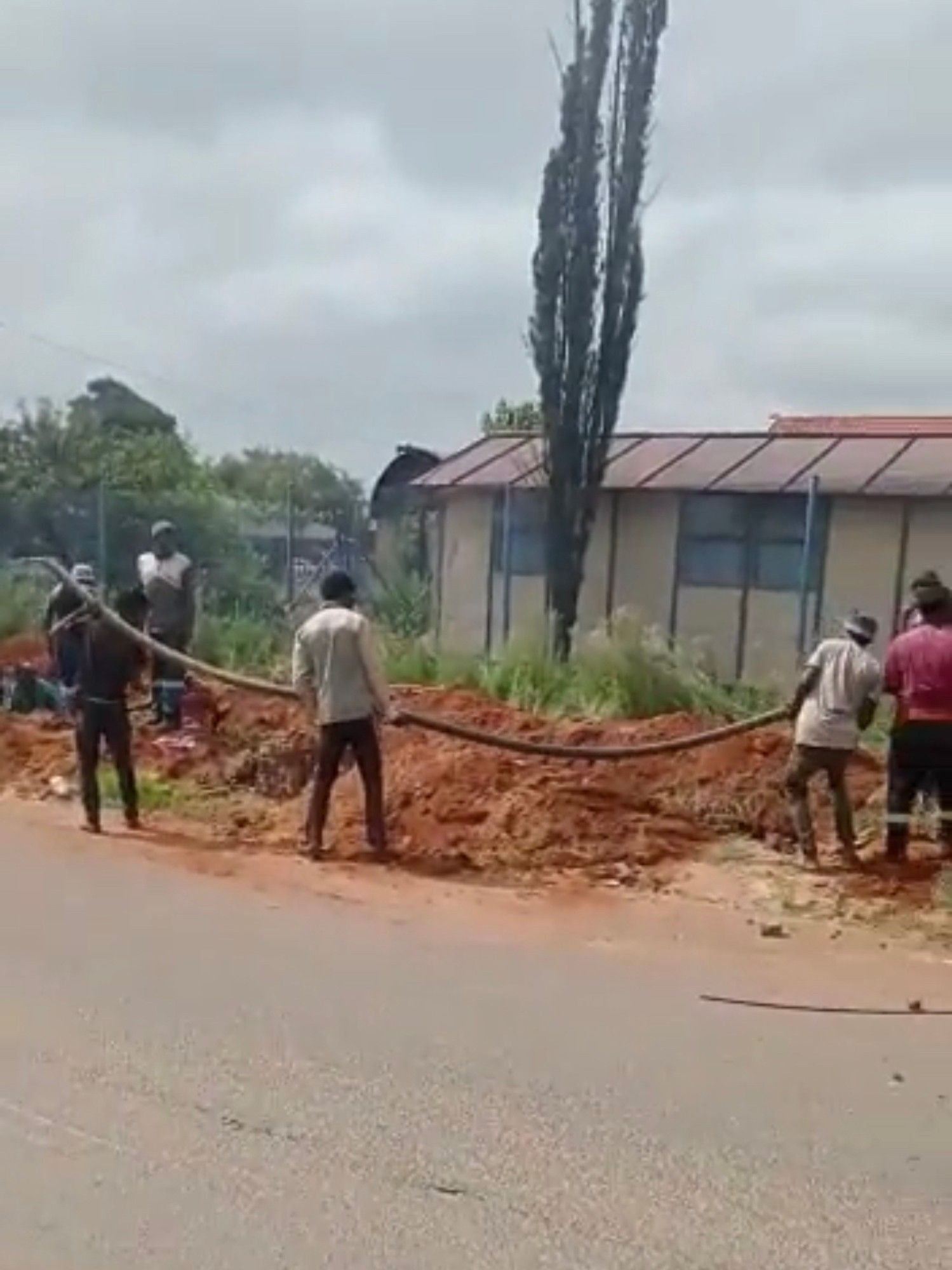 WATCH: A group of men steal copper cables in front of police station in Reiger Park, Ekurhuleni