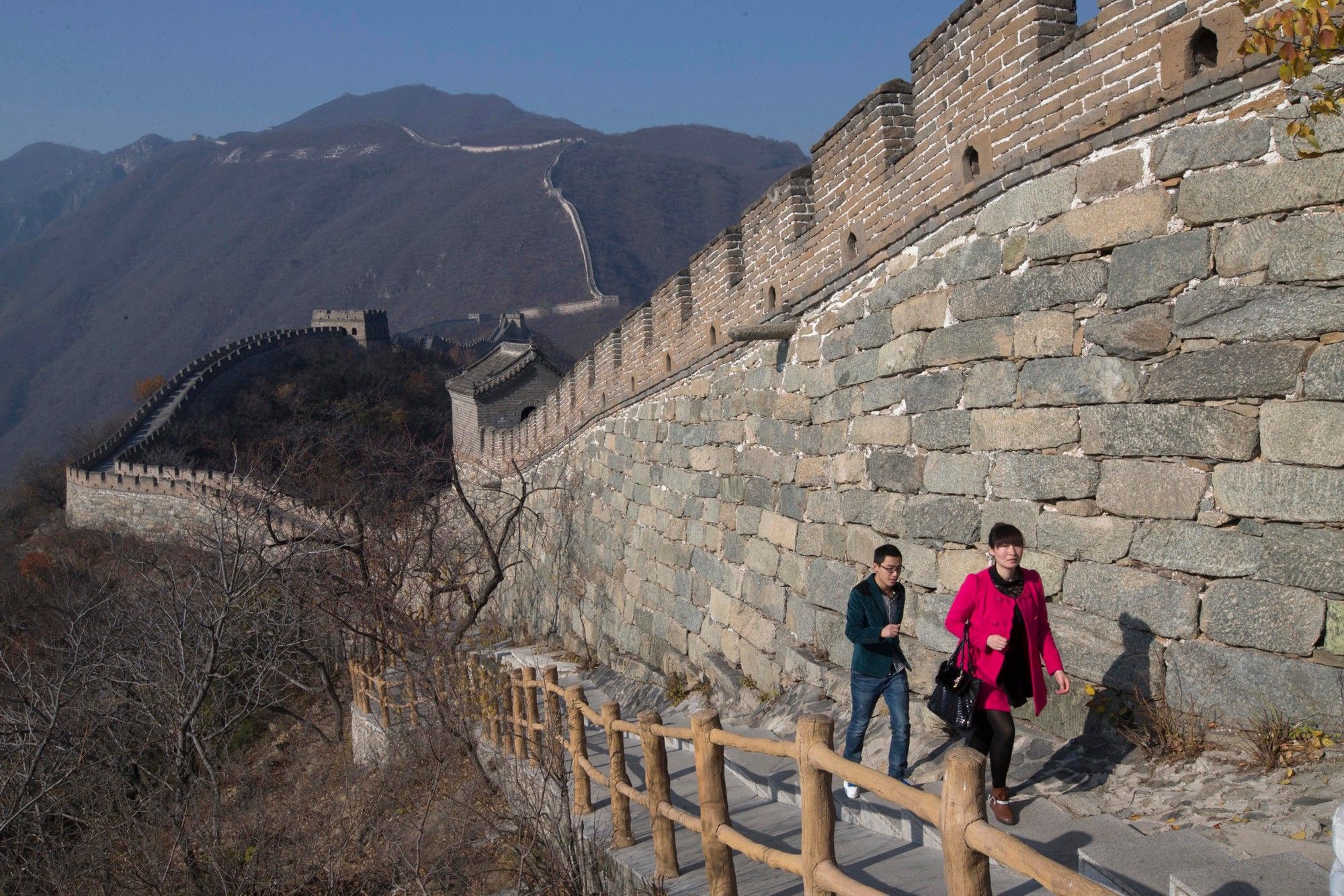 Ditching concrete for earth to build a cleaner, greener future