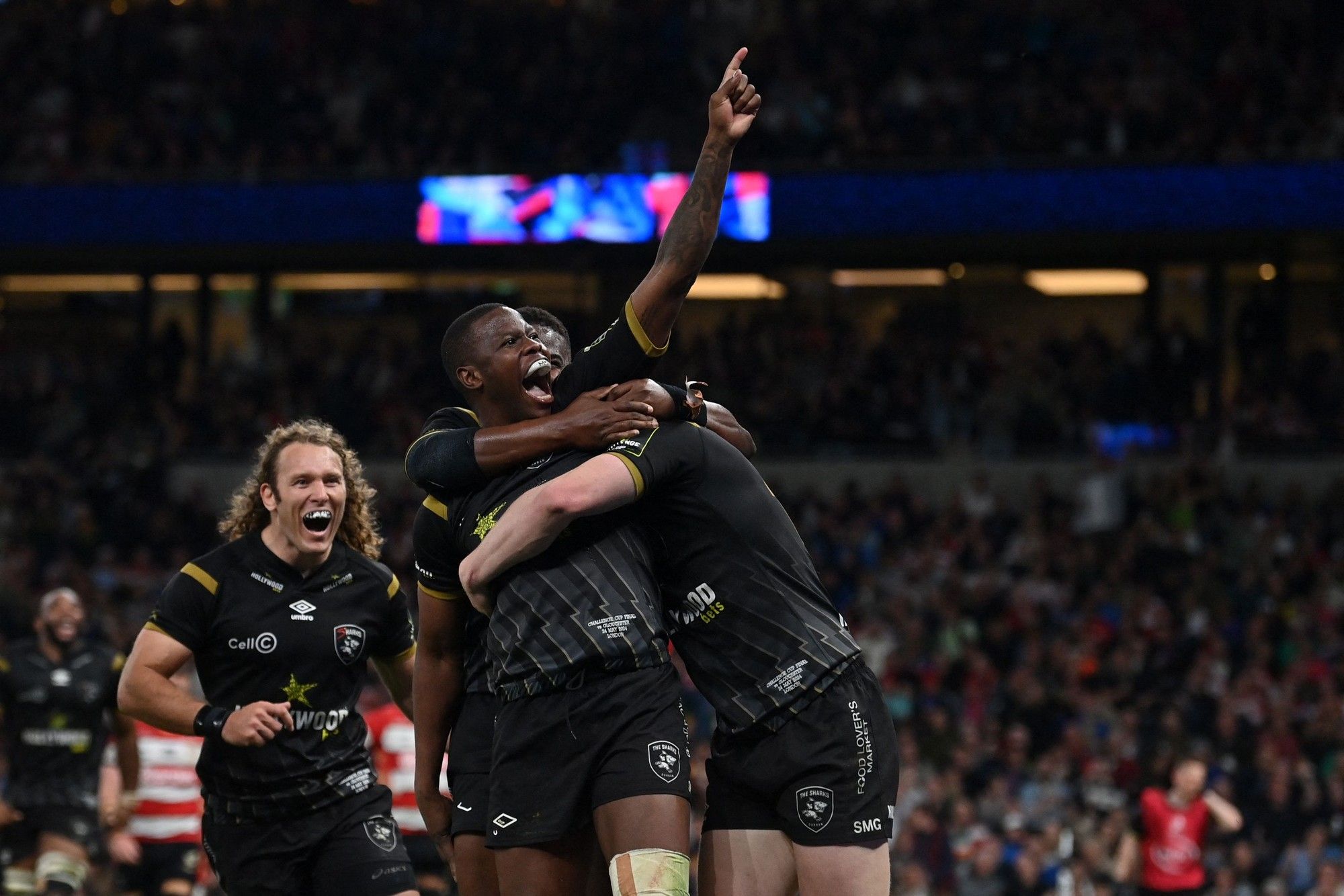 Sharks shake up Springbok structure with Euro success
