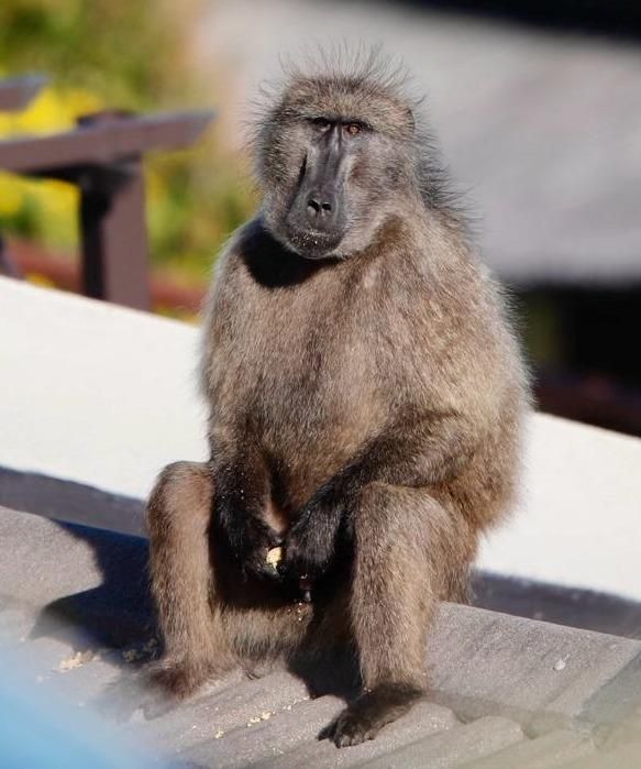 Liv morgan nude photo wont go into too much detail but she