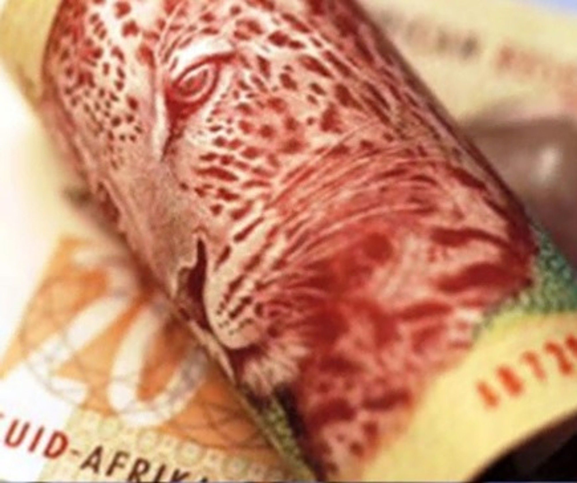 It’s time to reassess our love-affair with cash