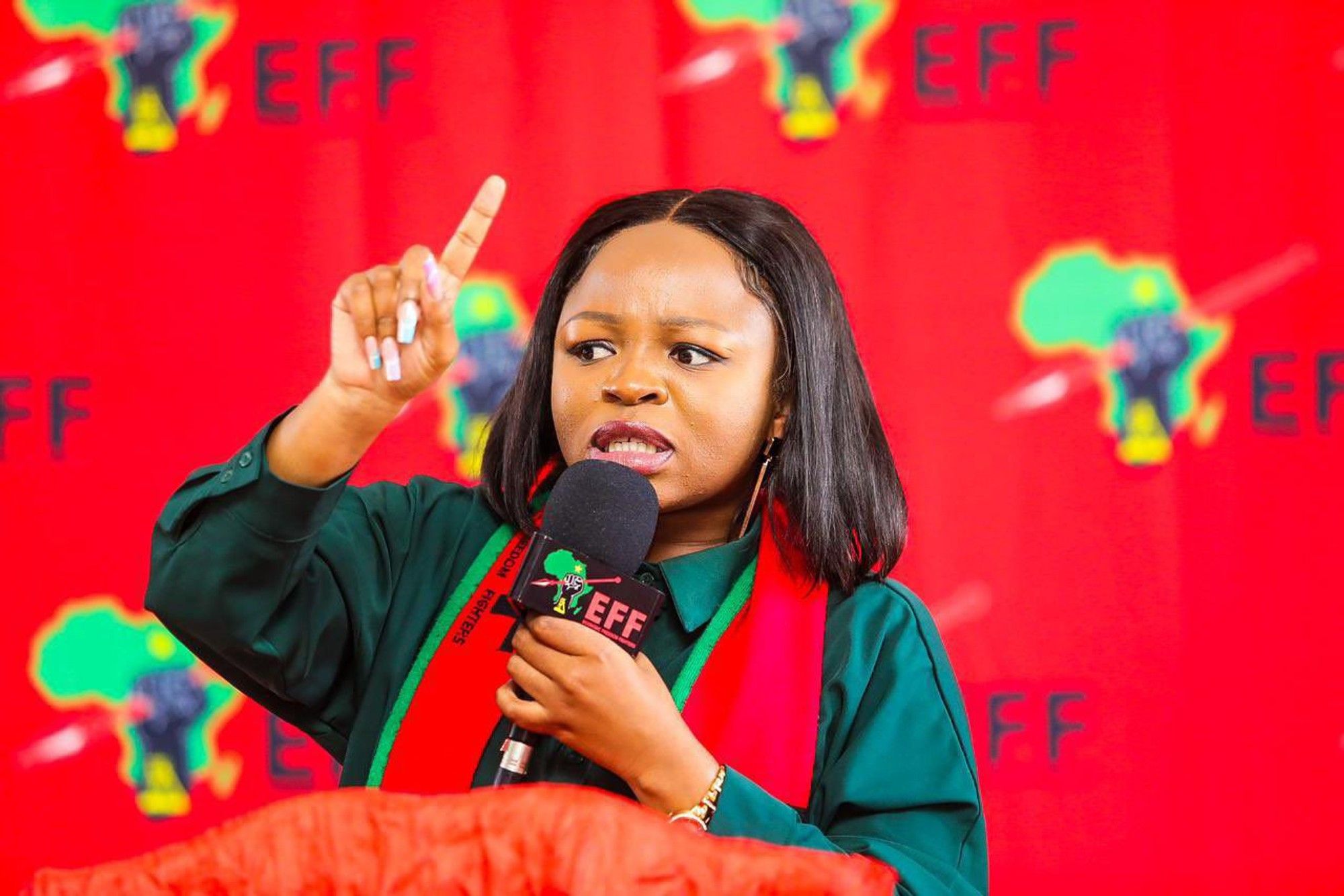 EFF reshuffles leadership in Parliament after voluntary resignations