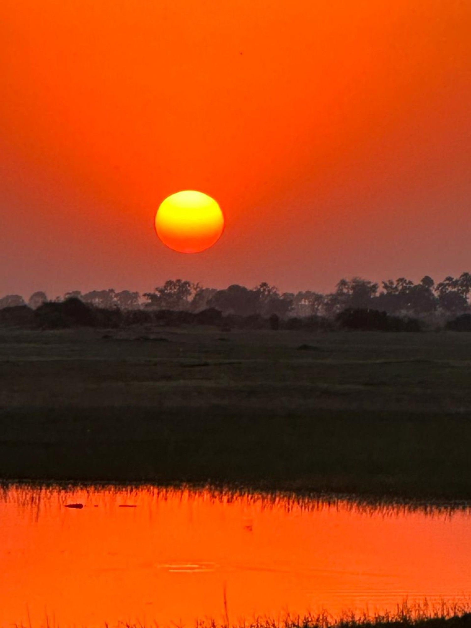PHOTO ESSAY: Dr Cahi takes the Okavango Delta and its abundance of wildlife