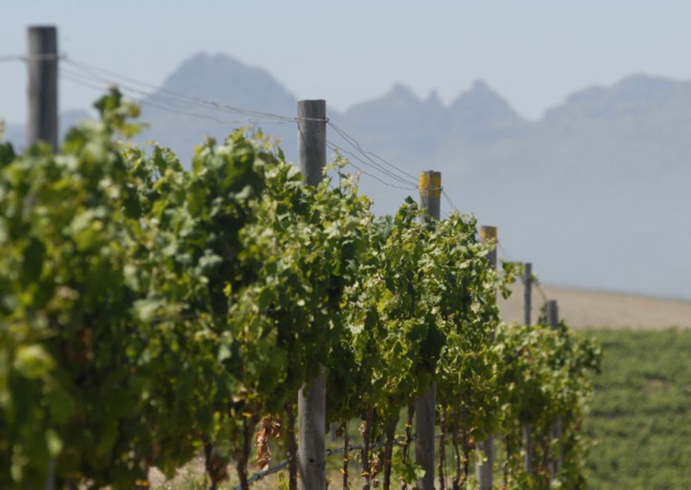 Easy-drinking range will find favour