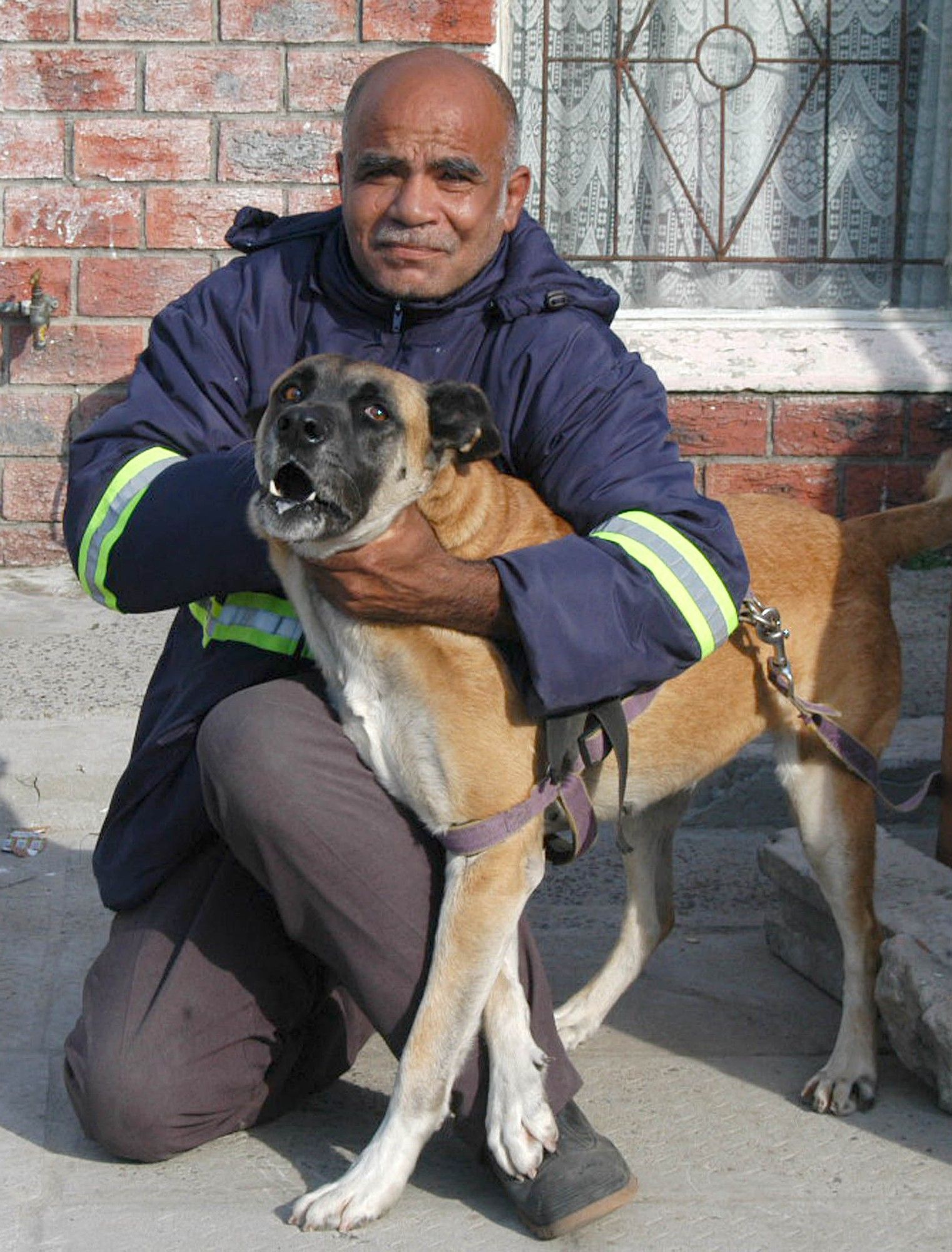 Jessie the dog is a hero