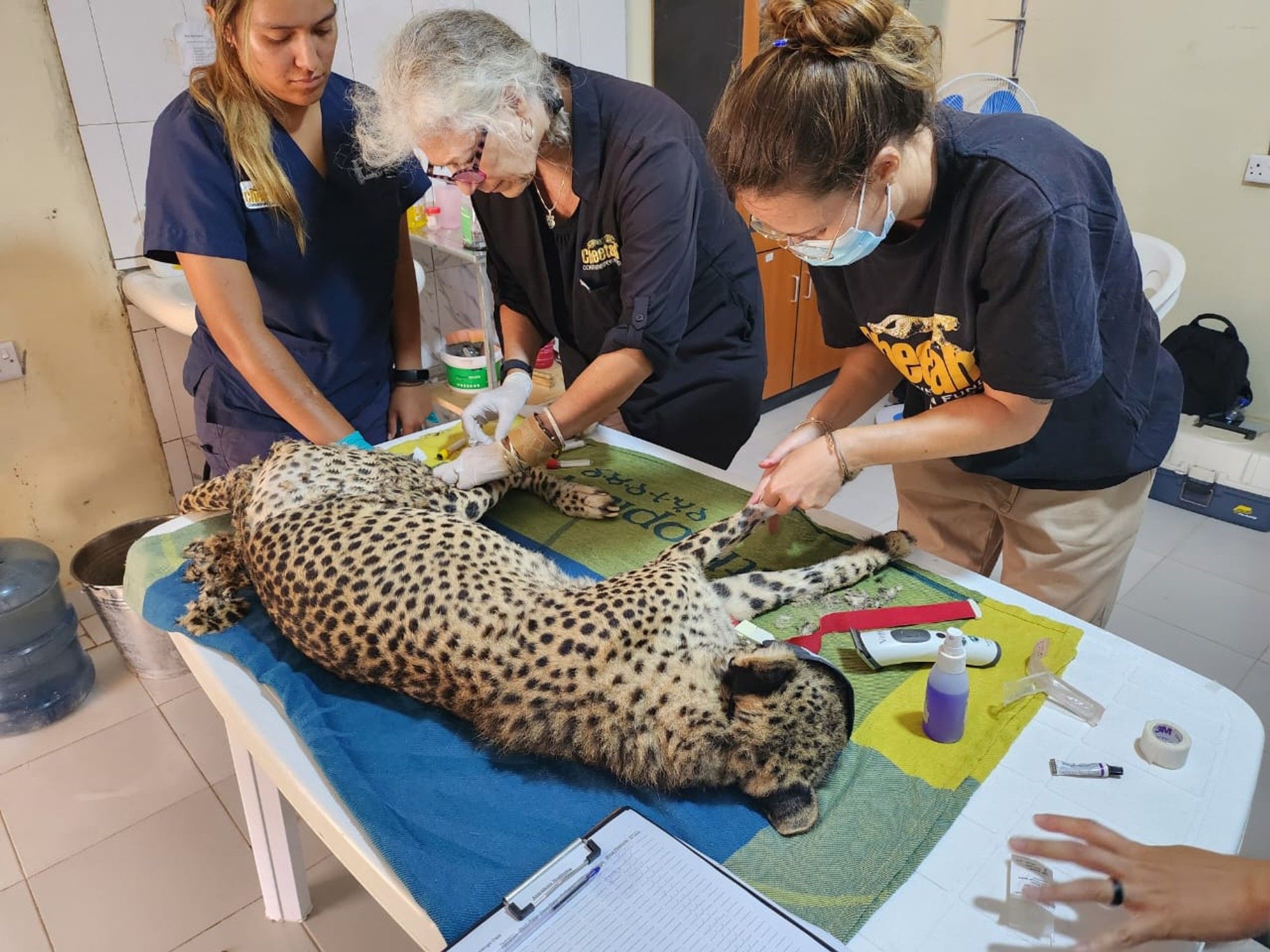 University of Pretoria assistance with surgical intervention saves ...