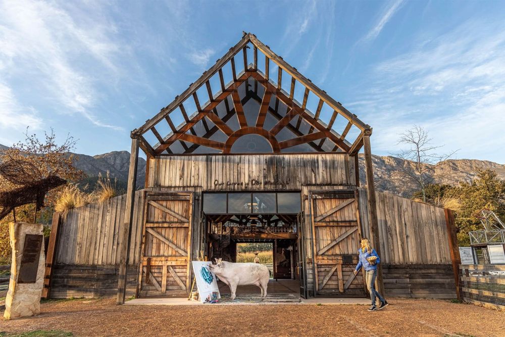 Spend the night in this SA barn filled with rescue animals and a ...