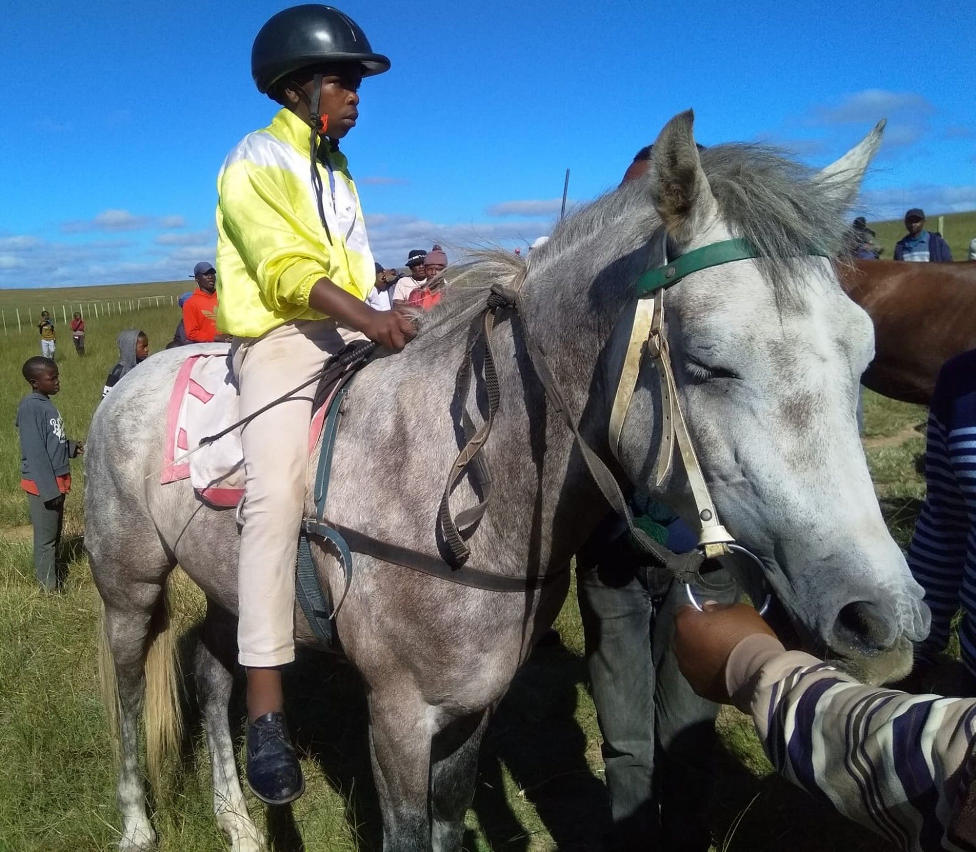 UYakheka Mpukane uzakhela ikamva emahasheni ezilalini!