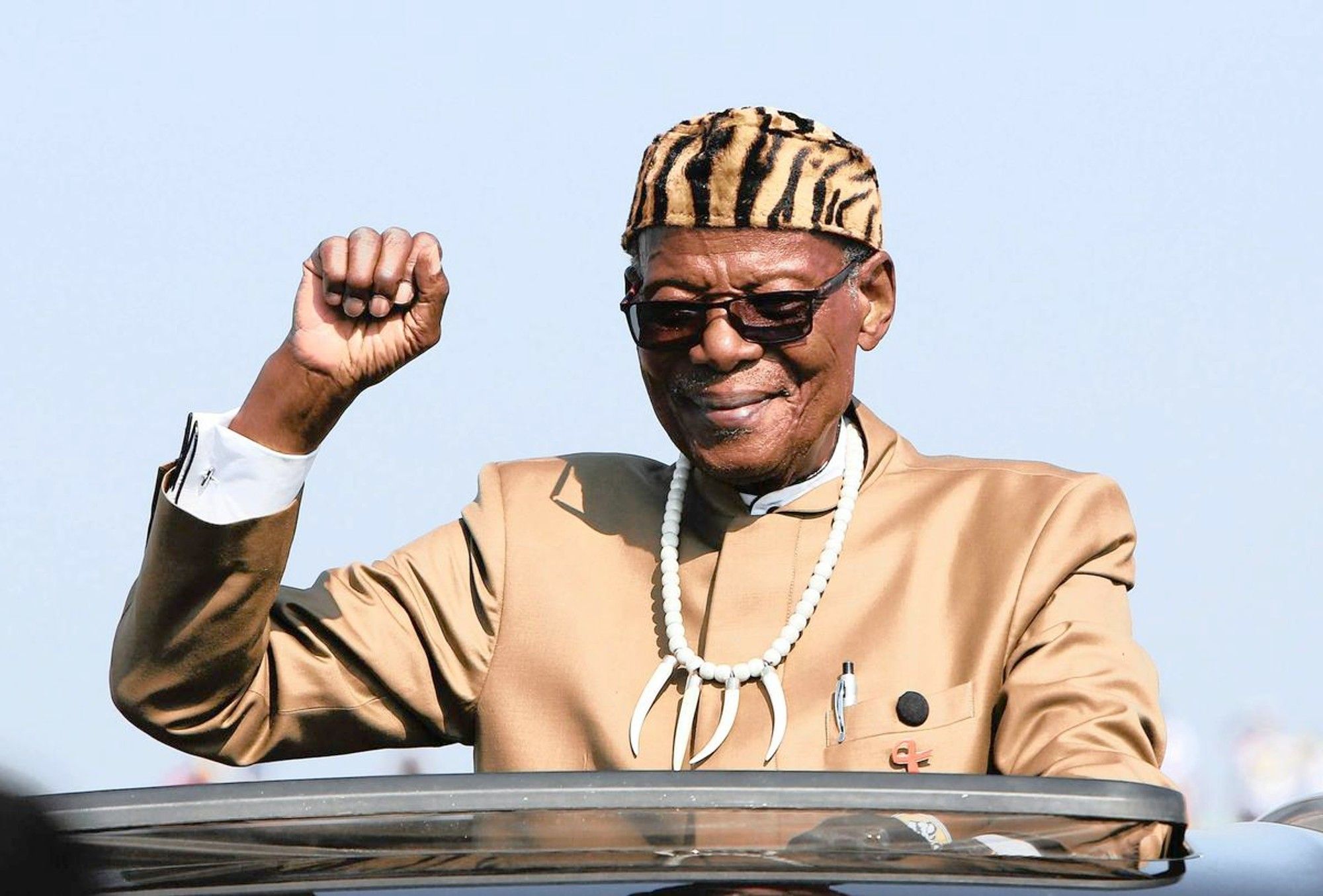 Prince Mangosuthu Buthelezi's grave gets provincial heritage site status