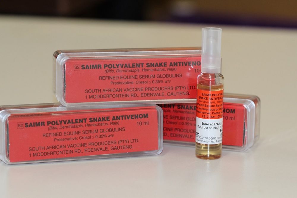 Health official warns of deadly consequences as snake antivenom stocks ...